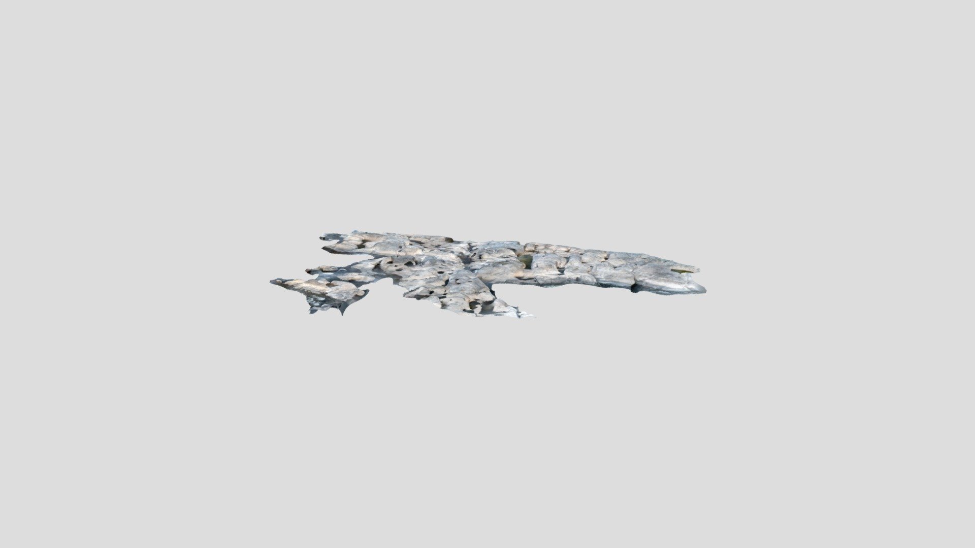 Polycam capture - Download Free 3D model by Christopher.Fantozzi ...