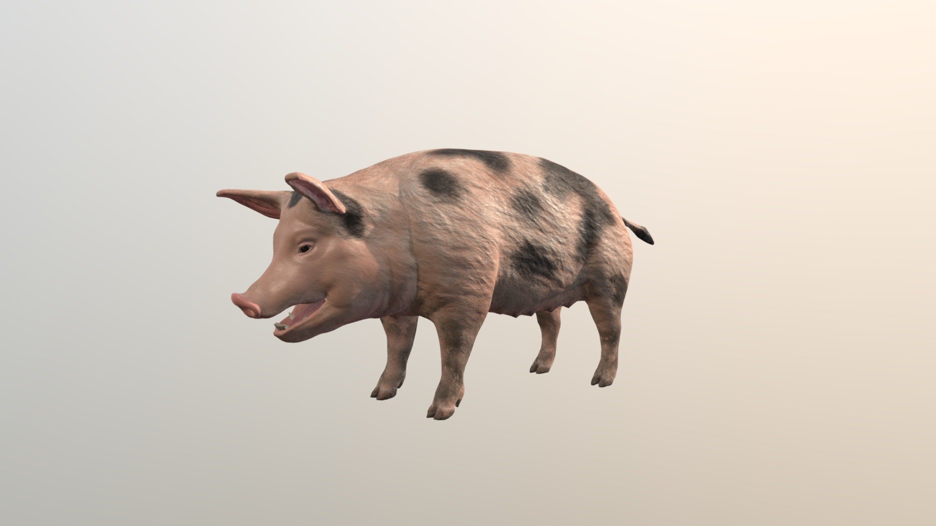 Pig - 3D model by Tantal (@tantalolart1) [7aa90e1] - Sketchfab