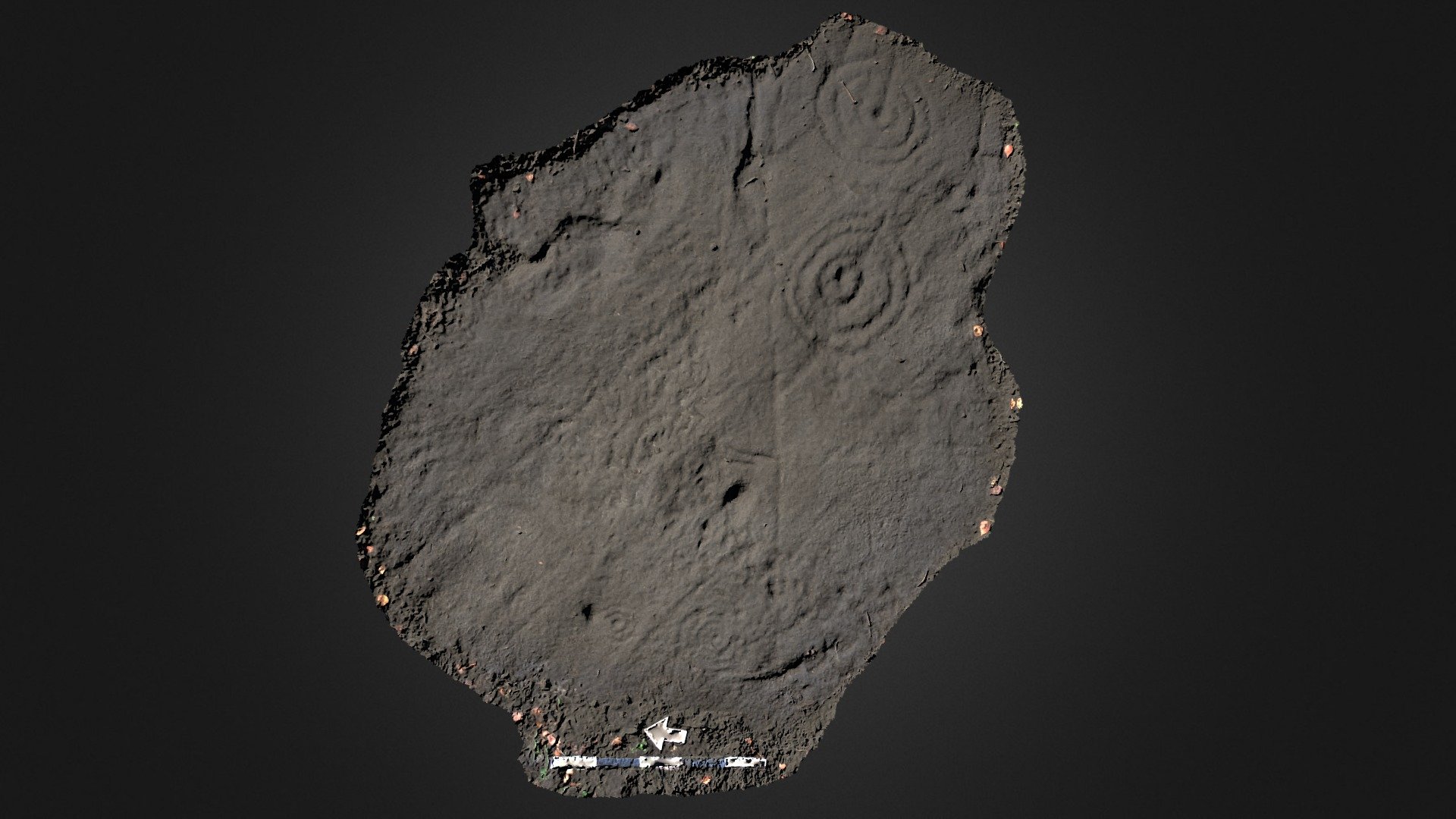 Castleton 4, Cowie - 3D model by Scotland's Rock Art Project ...