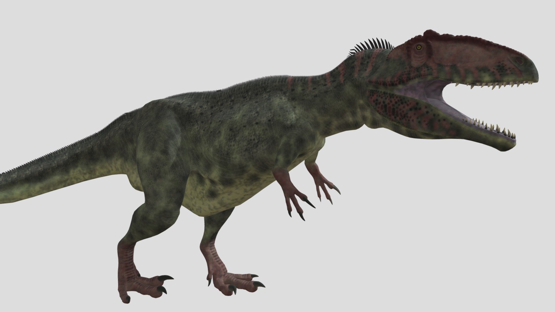giganotosaurus - Download Free 3D model by seth the yutyrannus ...