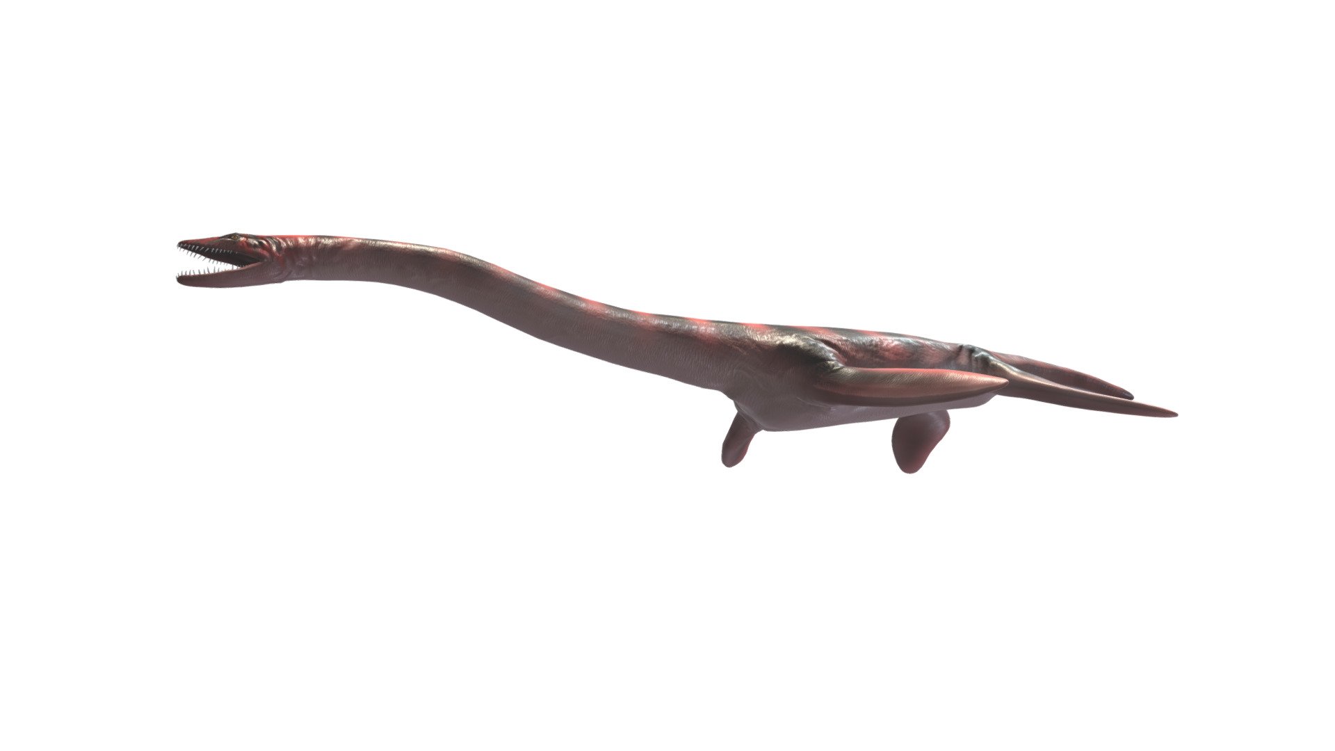 Plesiosaurus dolichodeirus - Buy Royalty Free 3D model by ...