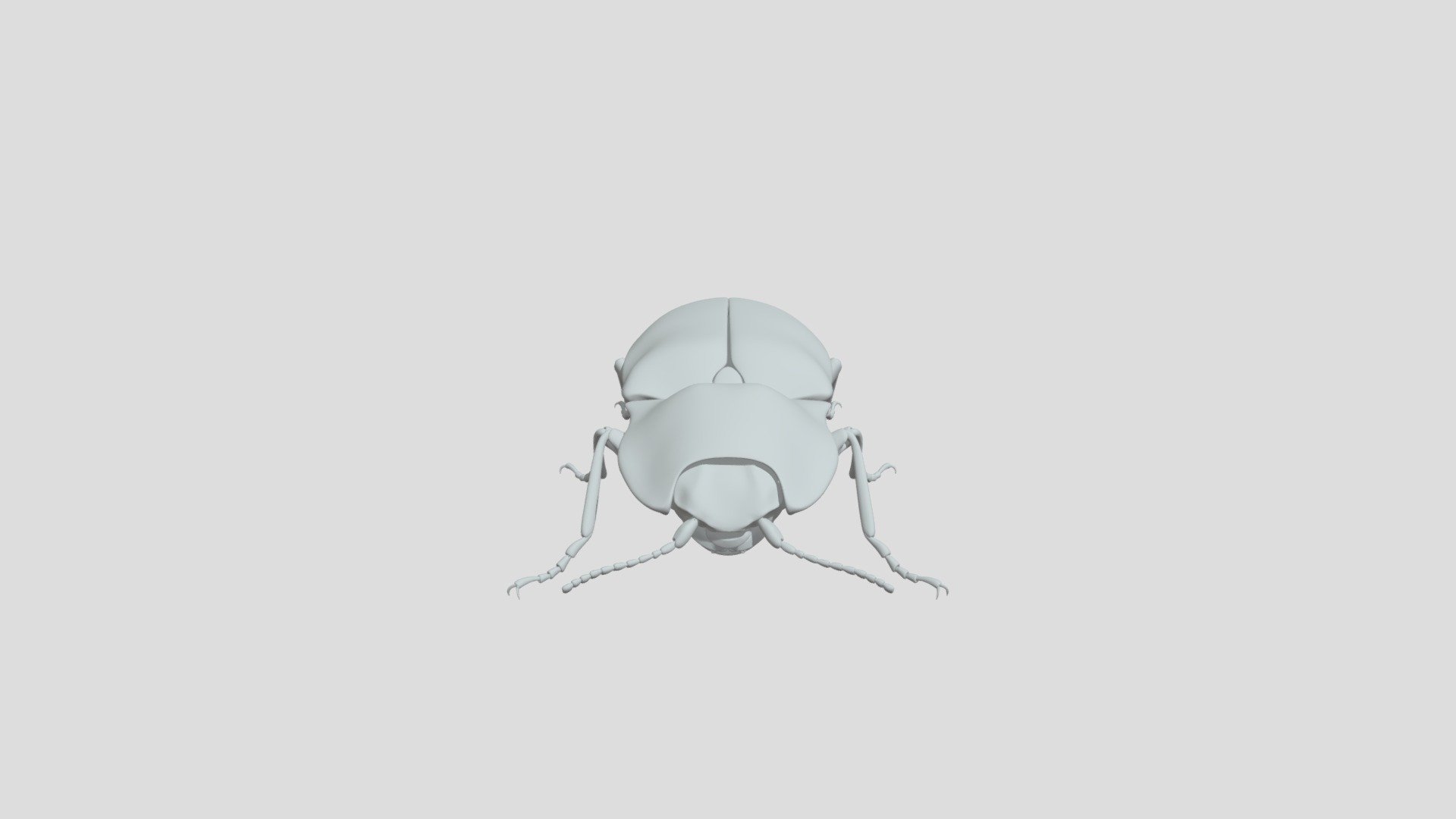 Click Beetle - 3D model by mohamedhussien [7ae15fa] - Sketchfab