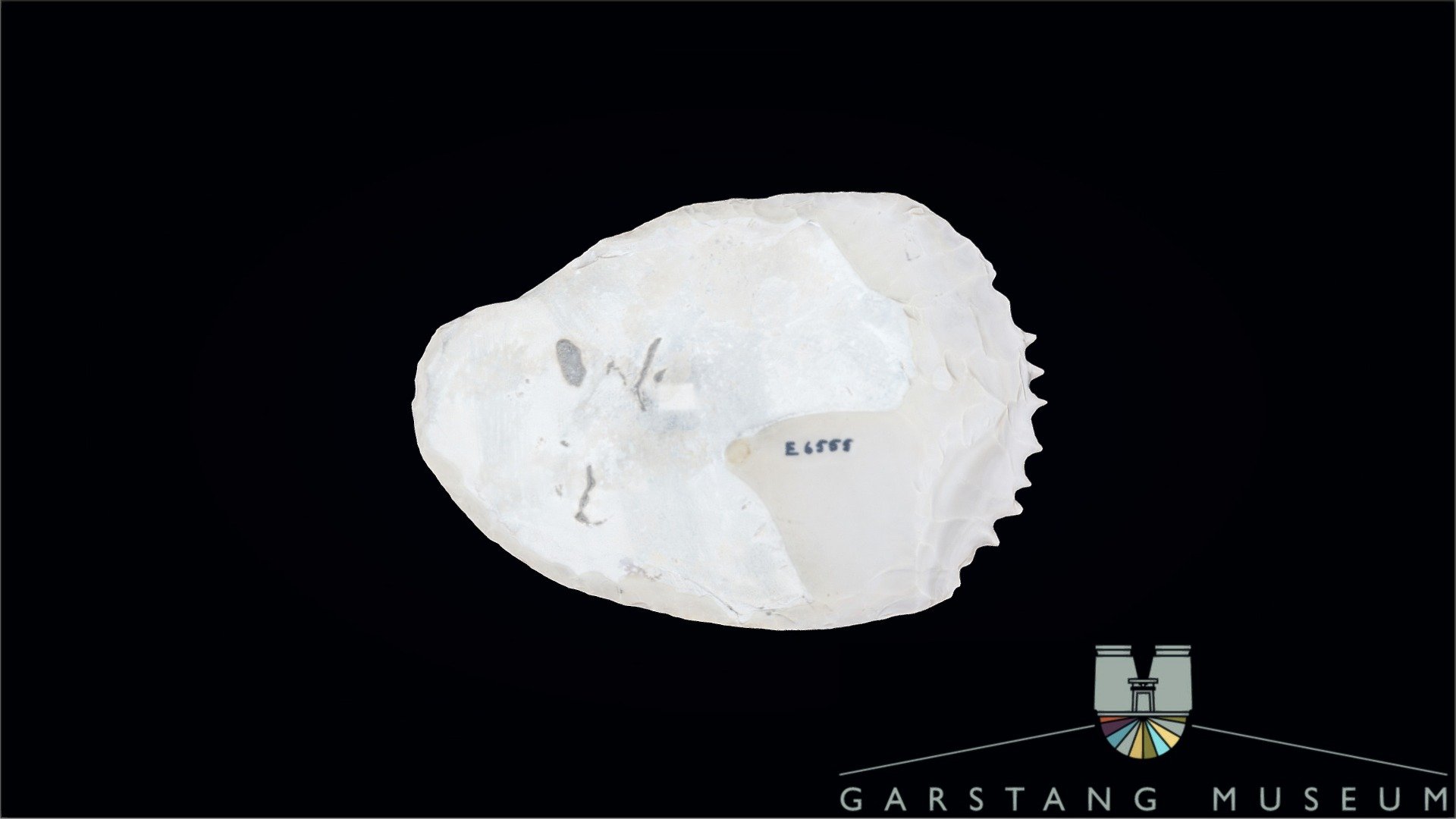 Denticulate Tool from Hierakonpolis - 3D model by Garstang Museum of ...