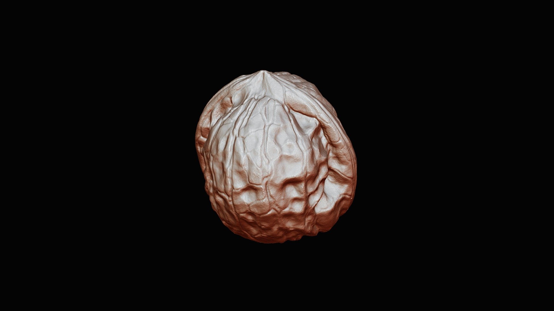 Walnut - Download Free 3D model by thunk3d.scanner [7aecaca] - Sketchfab