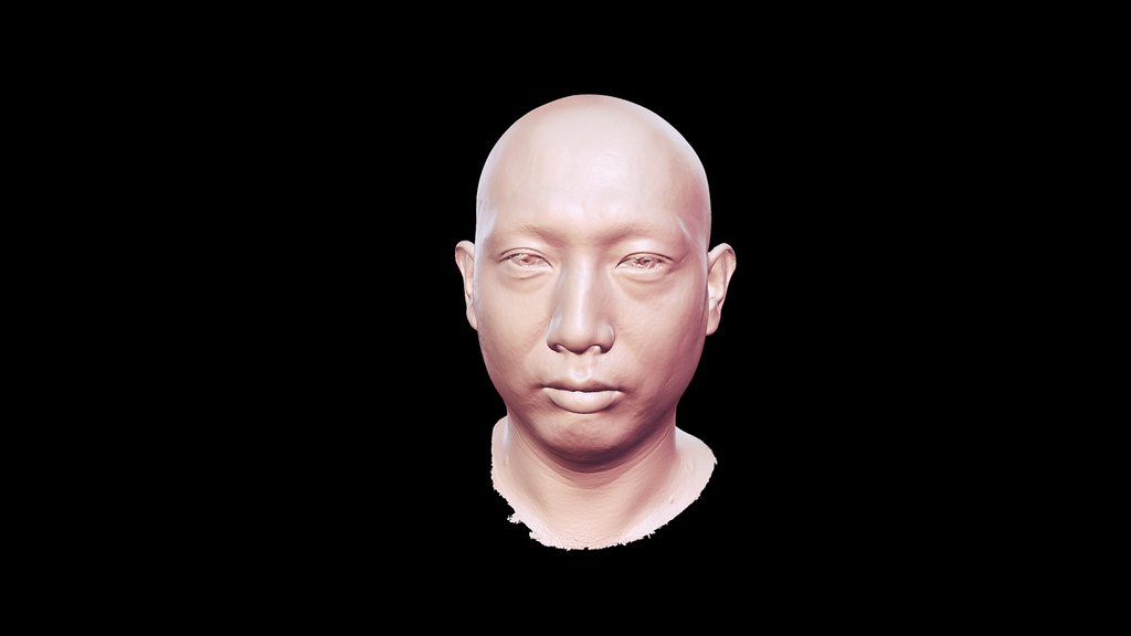 dl - sculpts and scans - humanoid head - A 3D model collection by ...