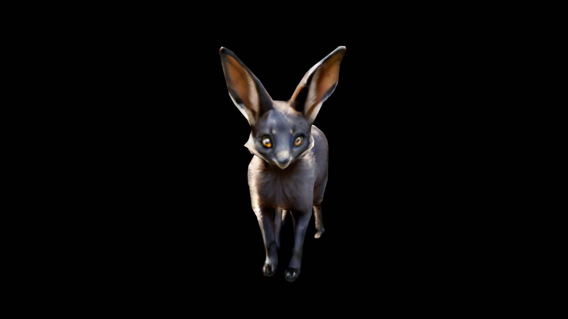 Fox (Vulpes lagopus) with strikingly large ears, - Download Free 3D ...