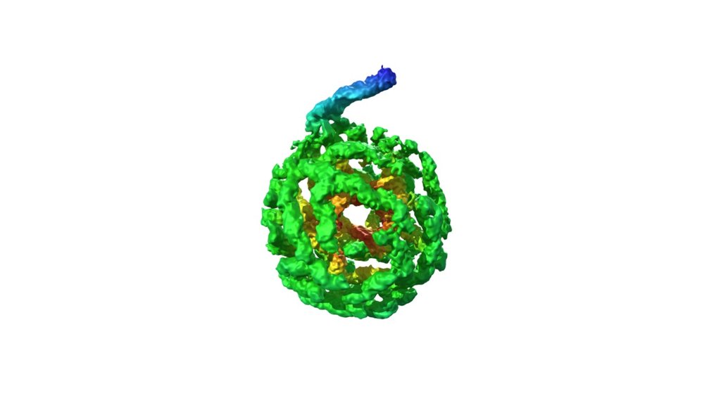 EMDB › EMD-3402 - 3D model by Interactive 3D Data (@proteinsimulation ...