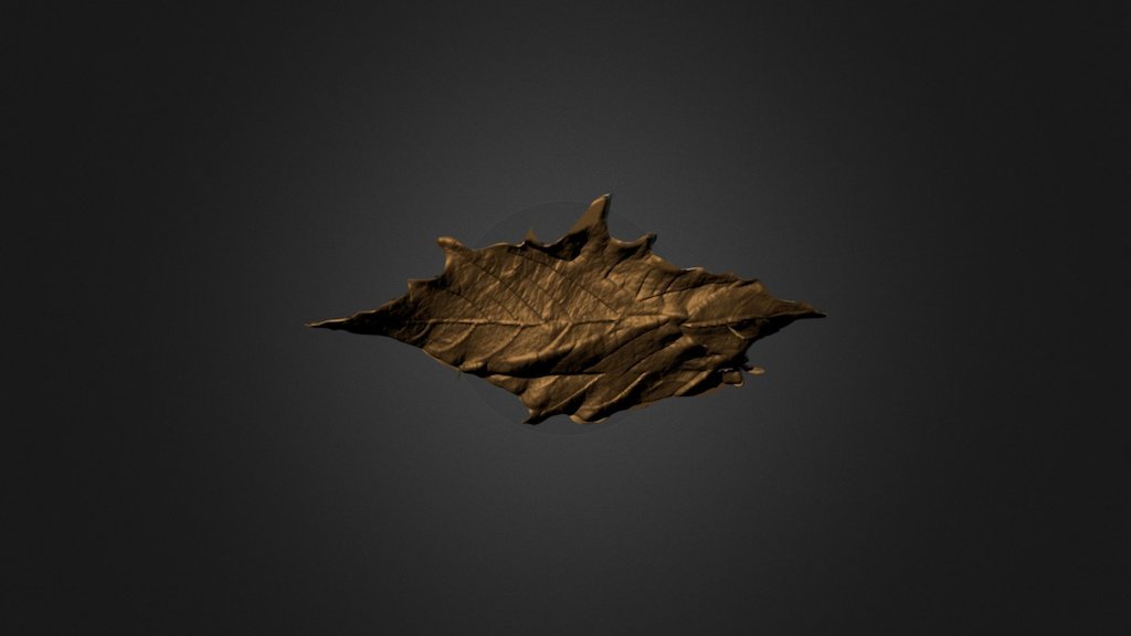 Leaf 311 3cm - 3D model by pierre.paslier [7af98e6] - Sketchfab