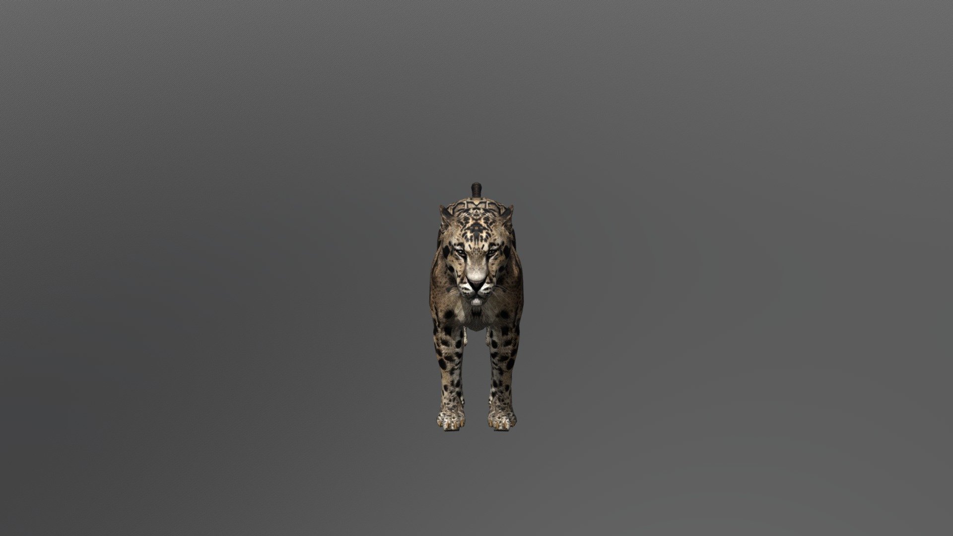 Clouded leopard - 3D model by tmalinko [7afa0a5] - Sketchfab