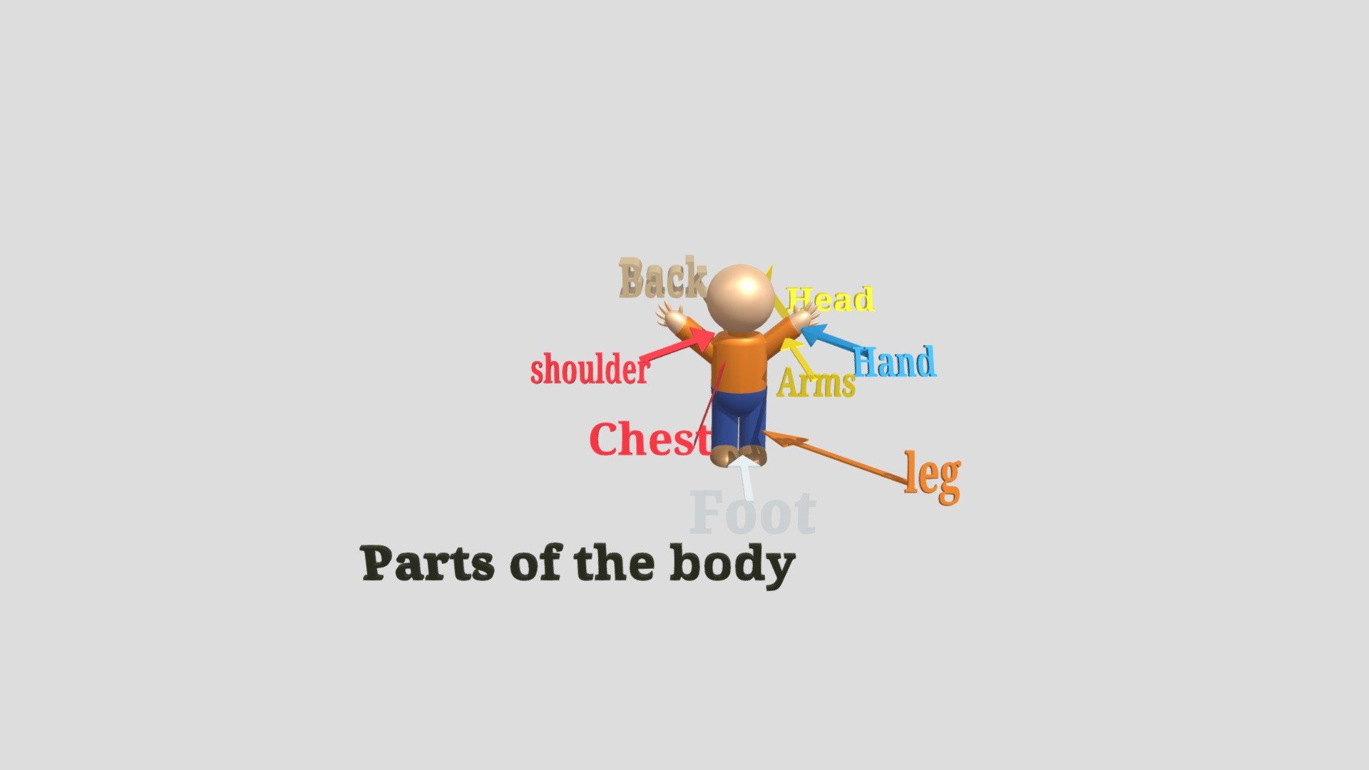 Parts Of The Body (1) - 3D model by pedrocv [7b006ec] - Sketchfab