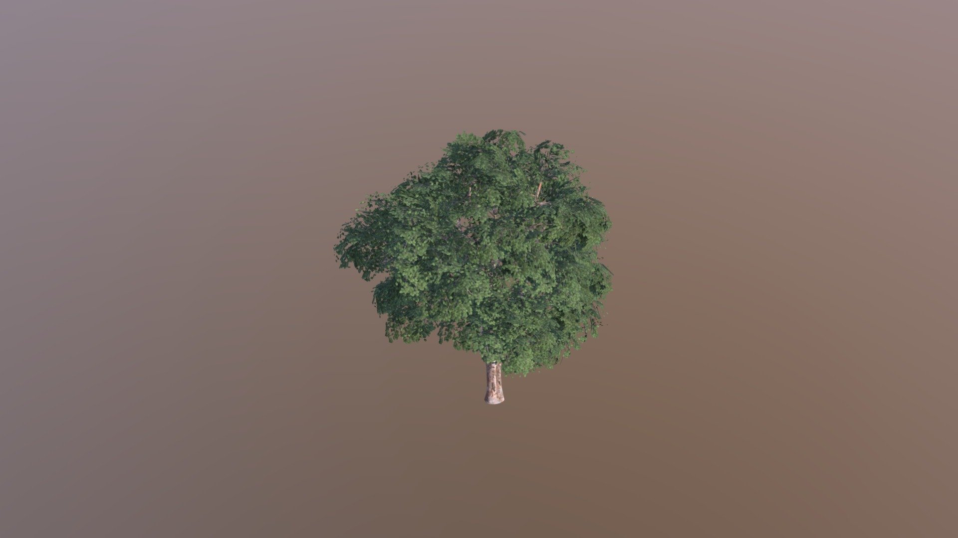 Cay 3 - Download Free 3D model by thangtacong [7b0418a] - Sketchfab