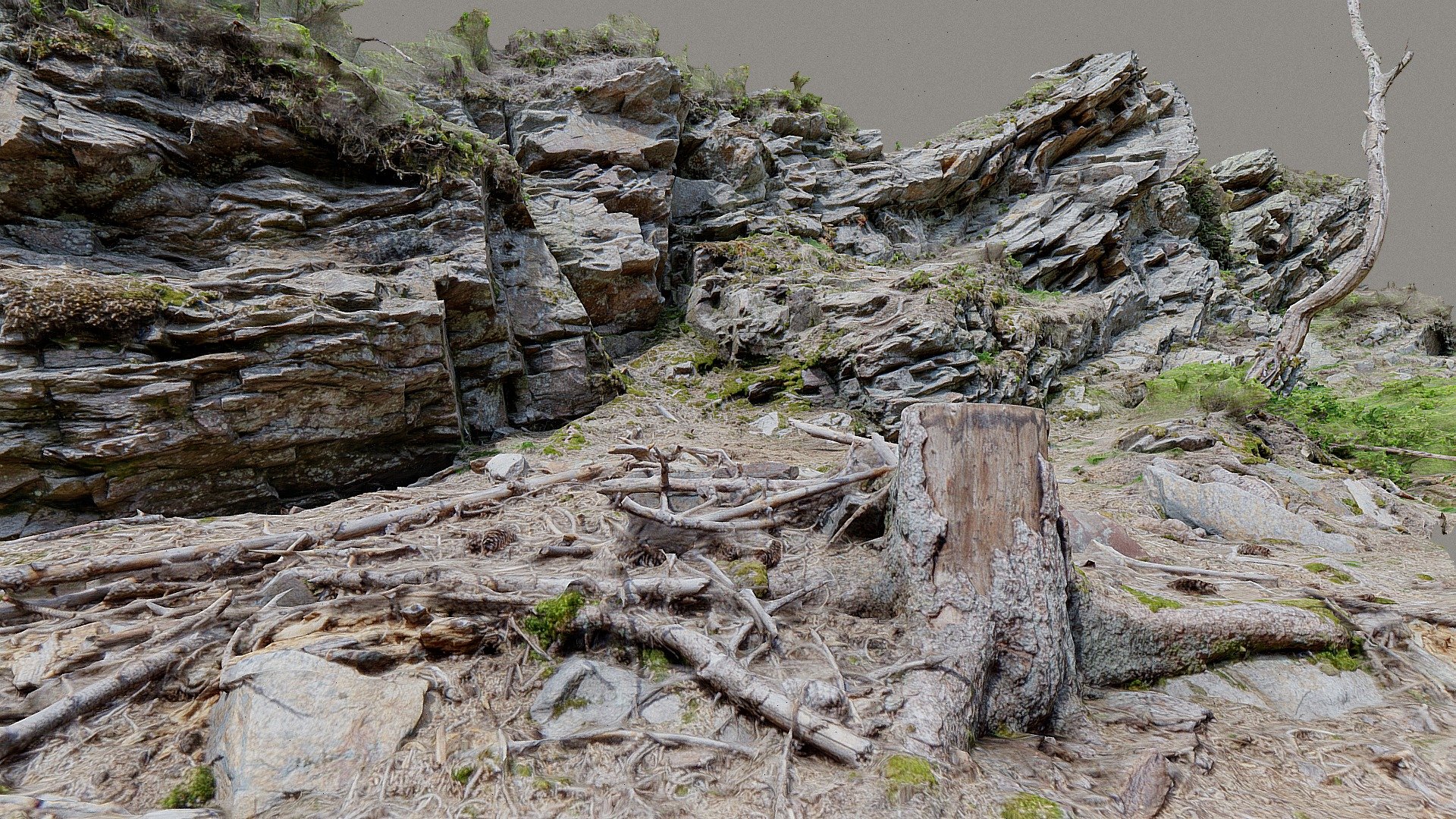 Rock wall - 3D model by archiwum_xyz [7b0b2e7] - Sketchfab