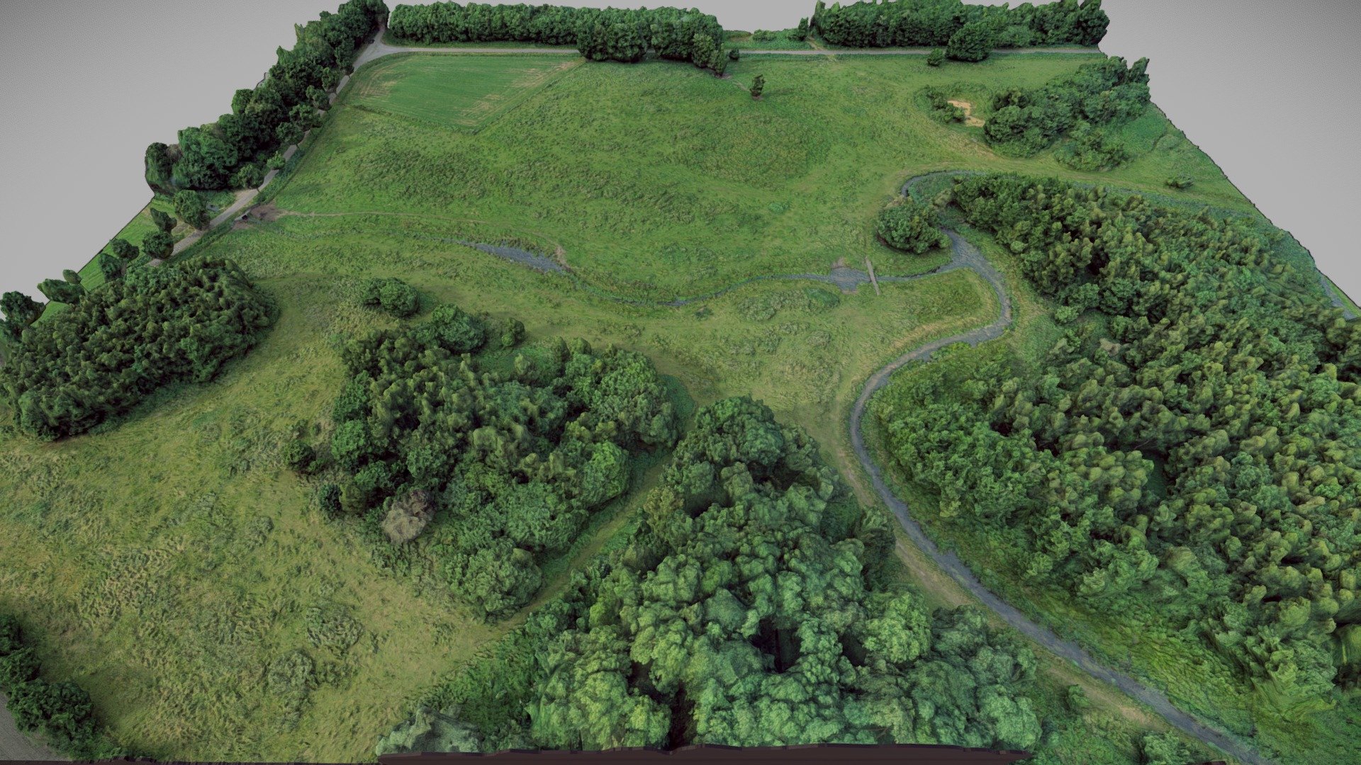 Photogrammetry 3D Scan Nature Landscape Download Free 3D Model By
