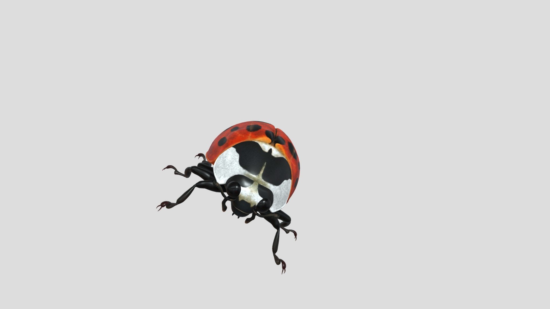 Gambar Mira - 3D model by mirawd [7b11958] - Sketchfab