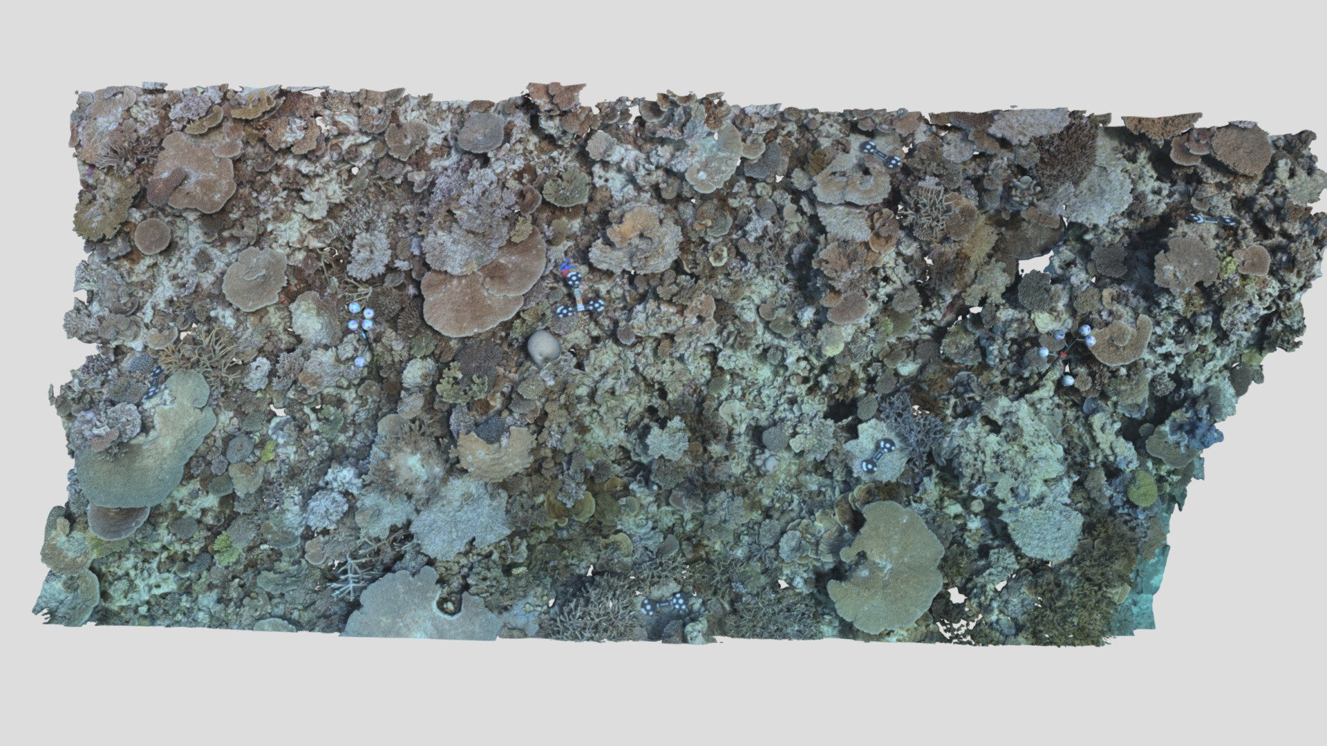 Heron_BA2S_P2_202105 - Download Free 3D model by EcoRRAP (@AIMSEcoRRAP ...