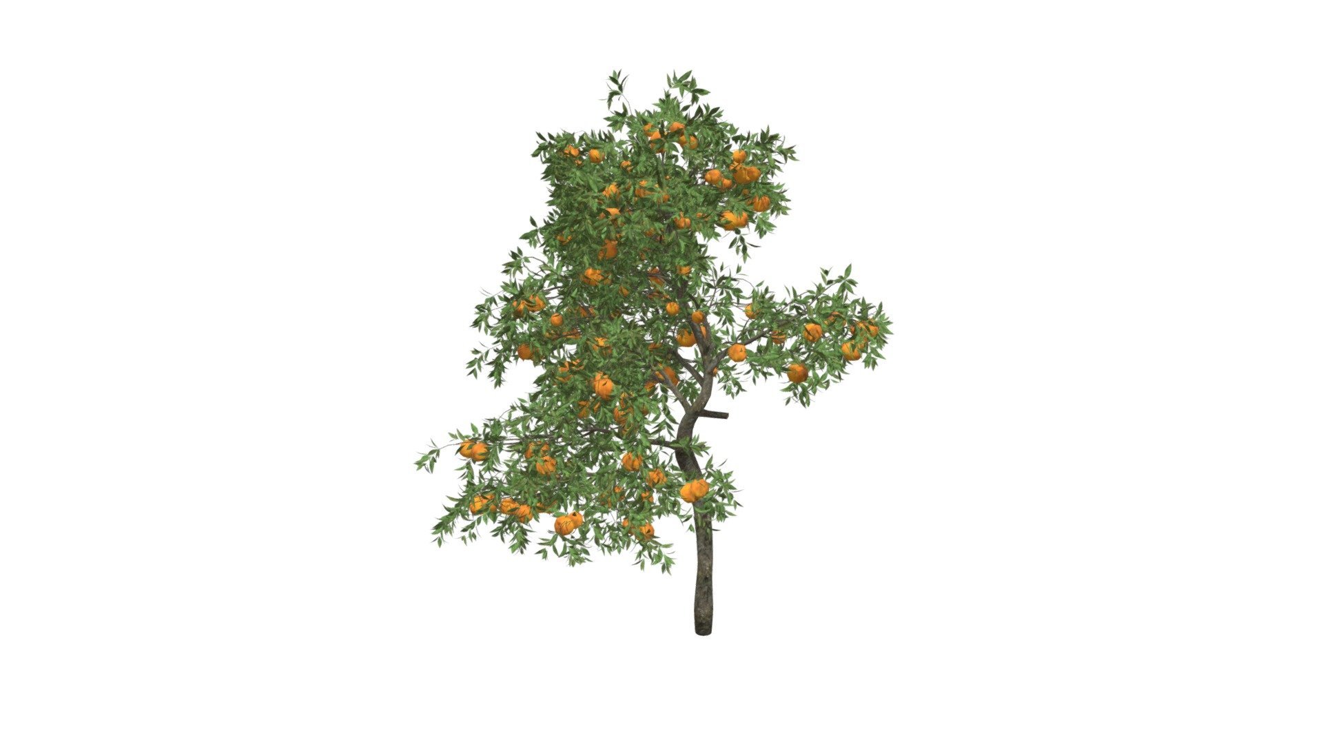 Orange Tree #08 - Buy Royalty Free 3D model by meshshape [7b17de3 ...