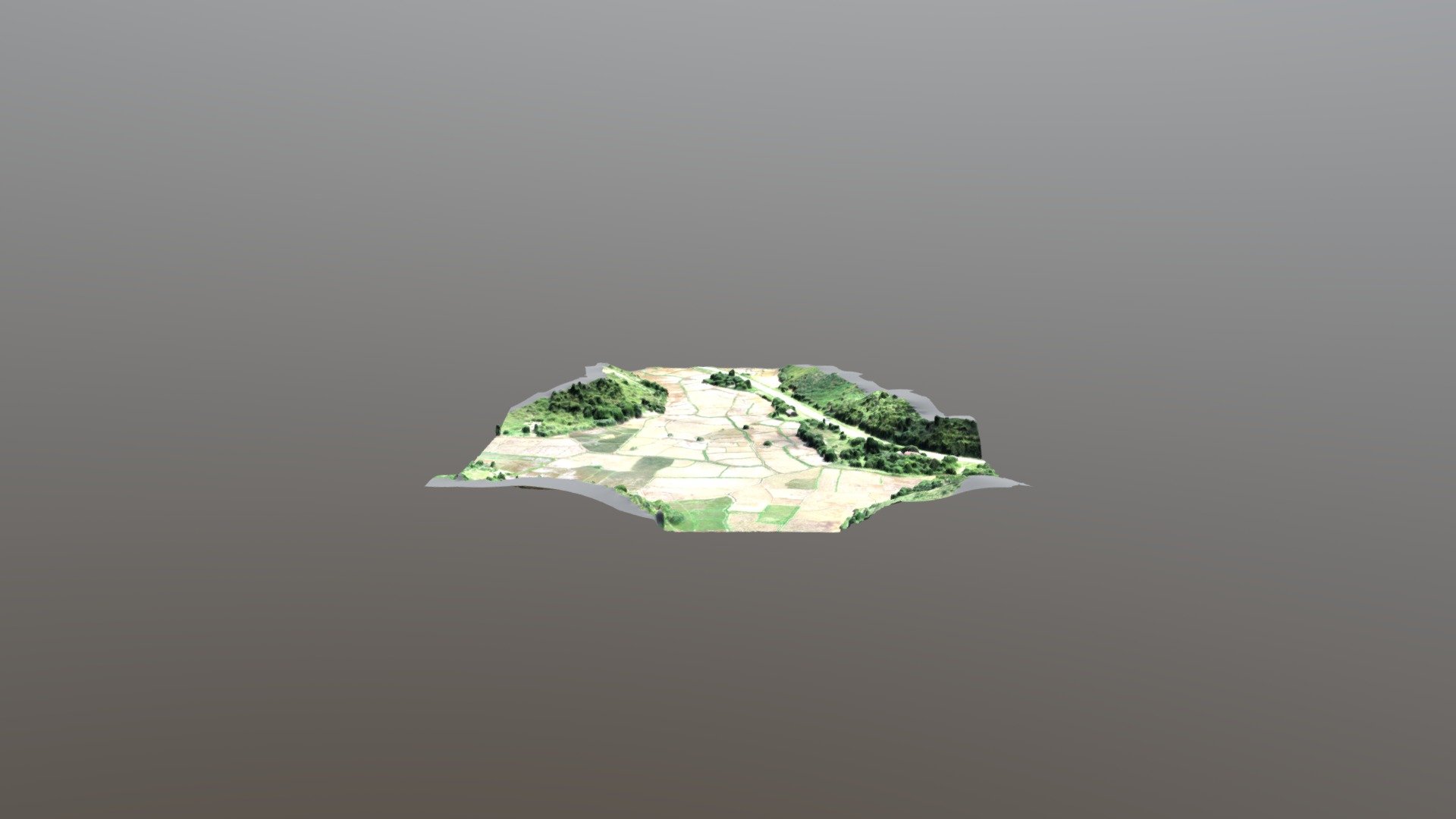 Ambalbe Rice Field - Download Free 3D model by Seneca Park Zoo ...
