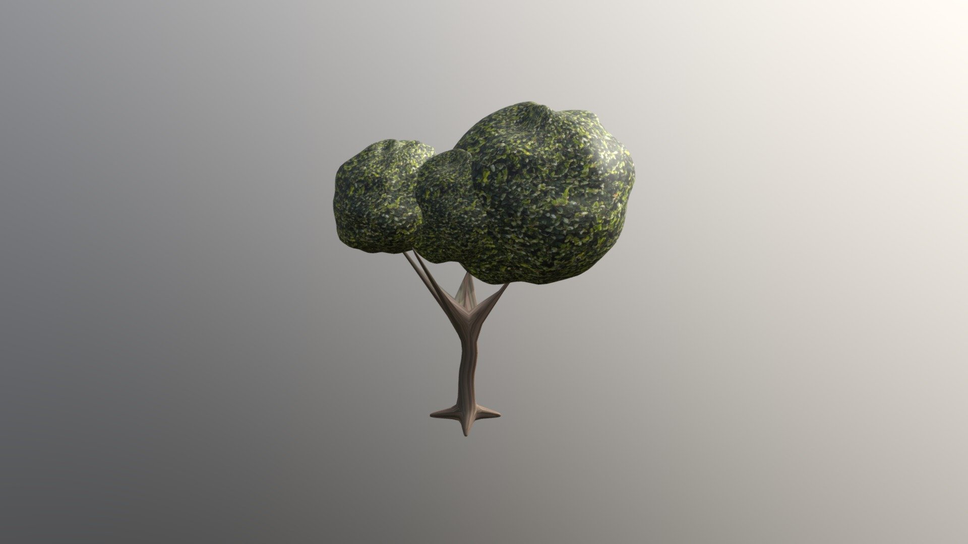 Tall Tree - 3D model by josephmaas [7b1f6b3] - Sketchfab
