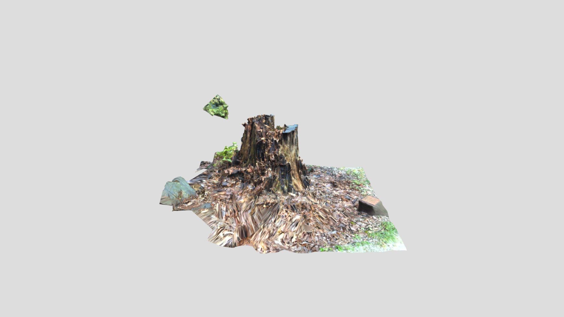 Broken Tree Stump - 3D model by Grape Studio (@grapestudio) [7b27fa6 ...