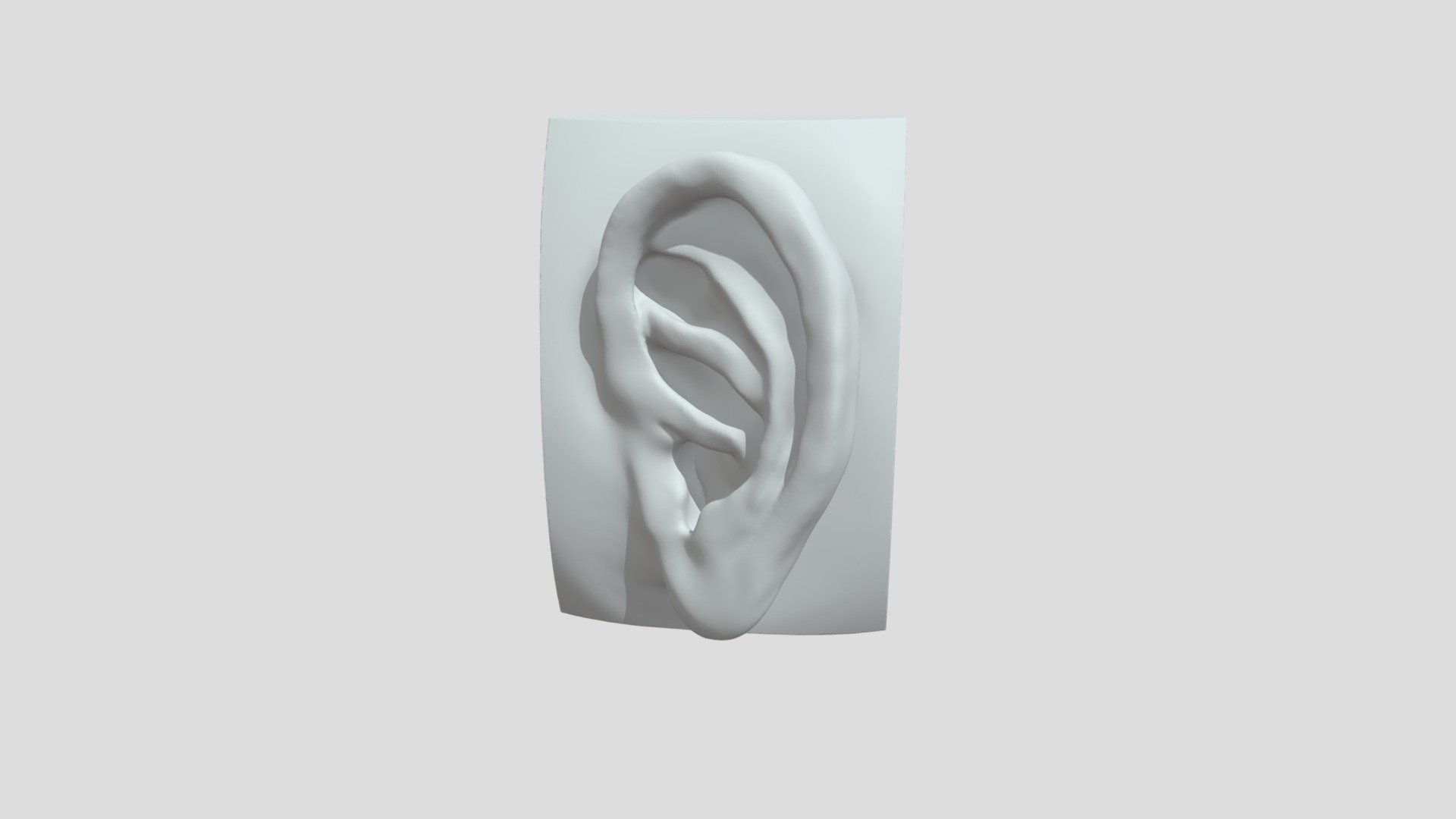 Ear_sculpt_0002 - 3D model by OliviaRose [7b31265] - Sketchfab