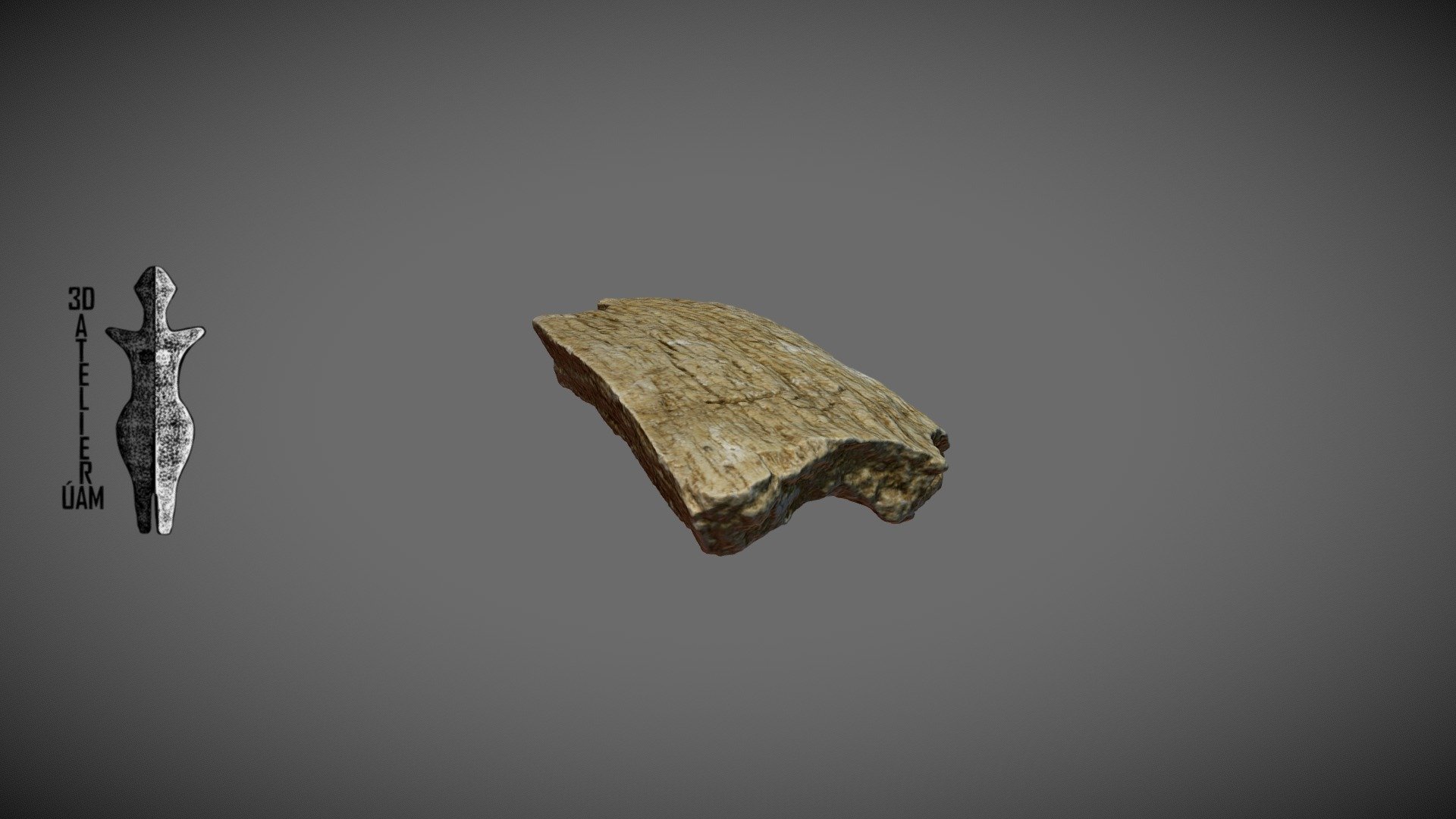 PRASL_H77_long_bone - 3D model by 3D atelier ÚAM (@vojtanosek) [7b327ce ...