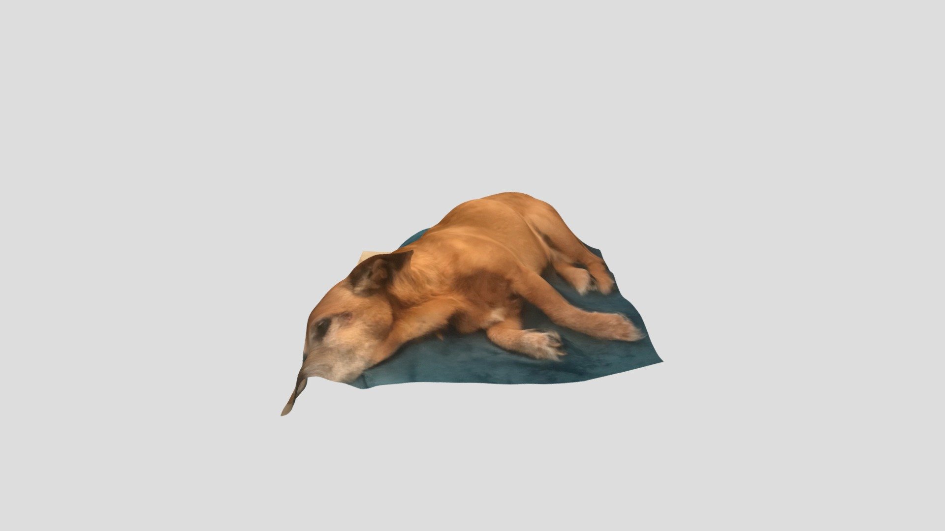 Tyke18 - Download Free 3D model by TykeHunt18 [7b3335b] - Sketchfab