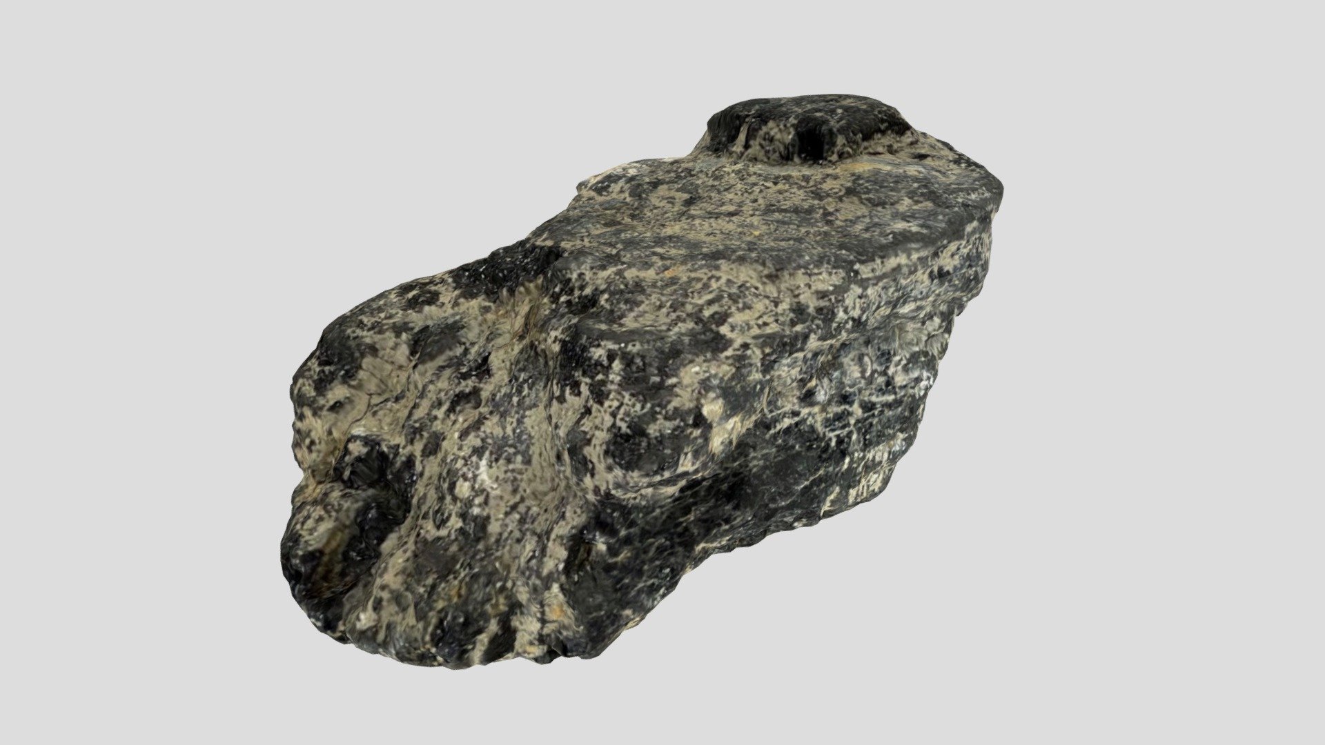 Coal: EOA:2022.85.2 - Download Free 3D model by Portland Museum ...