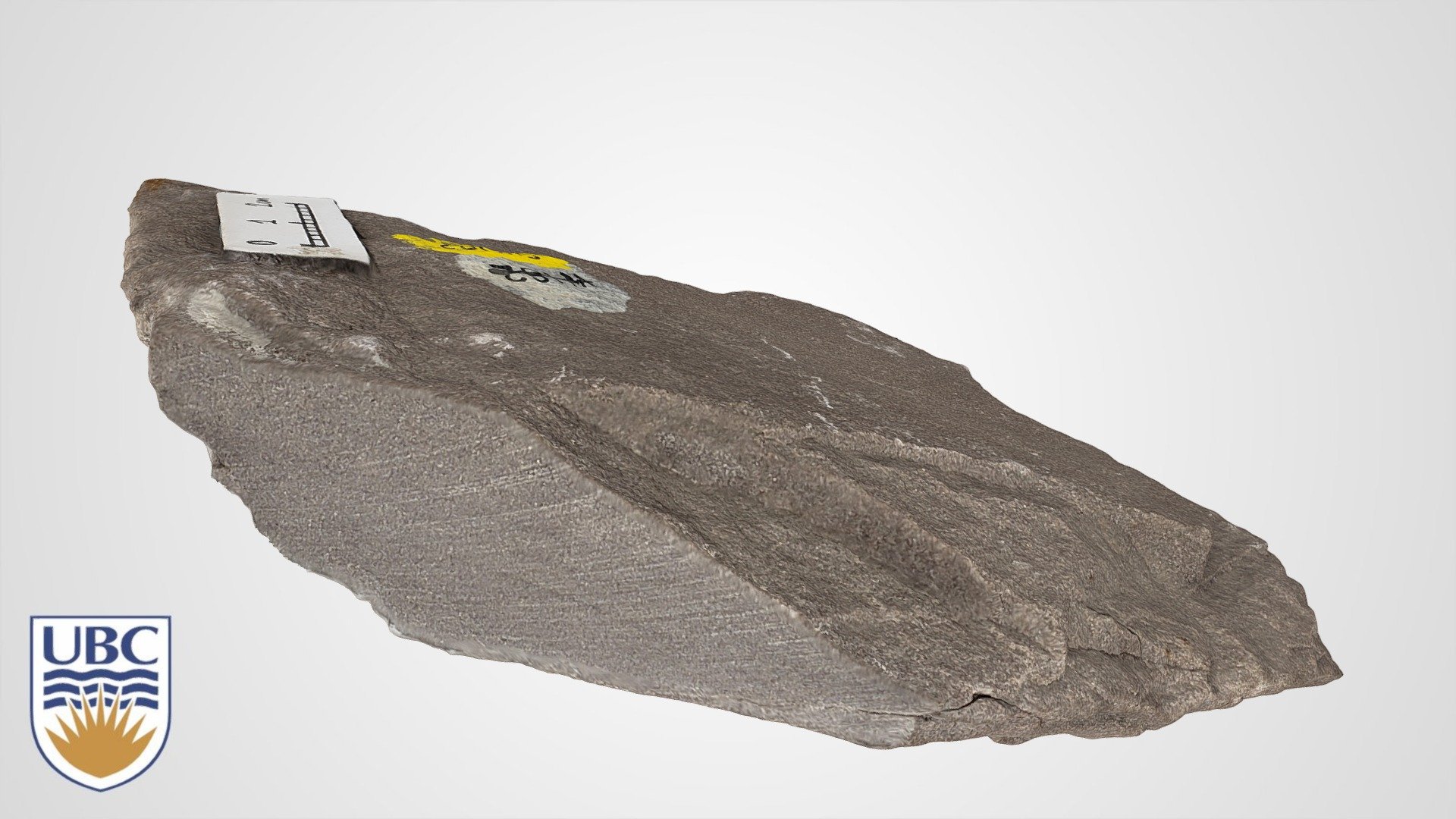 Hermit Formation representative sample - 3D model by Nichole Moerhuis ...