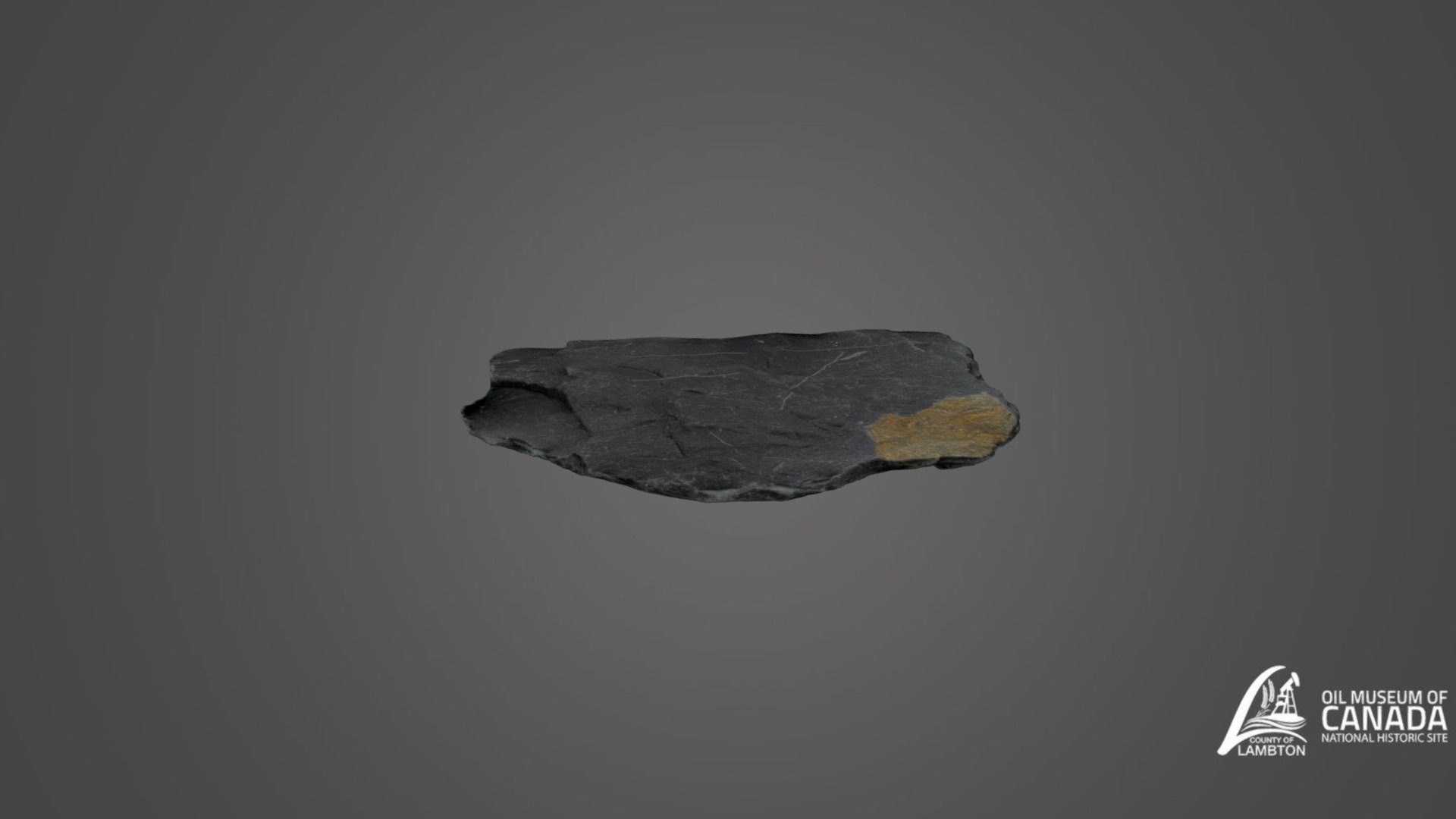 Shale - 3D model by Lambton County Museums (@lambtoncountymuseums ...