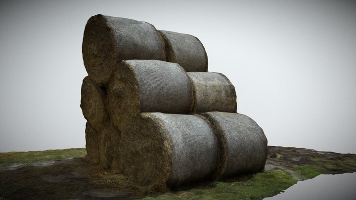 Hayball 3D models - Sketchfab