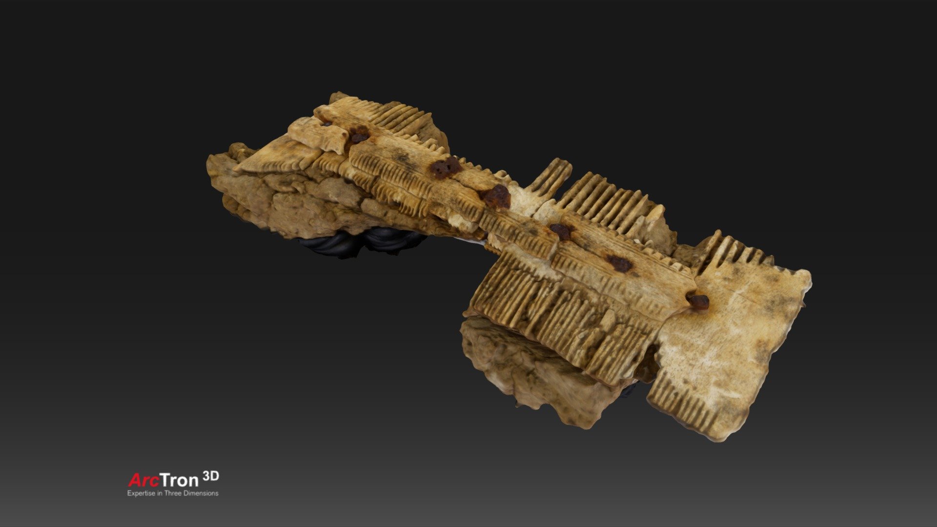 Kamm_2021-007-26-3 - 3D model by ArcTron 3D (@ArcTron3D) [7b4dd08] - Sketchfab
