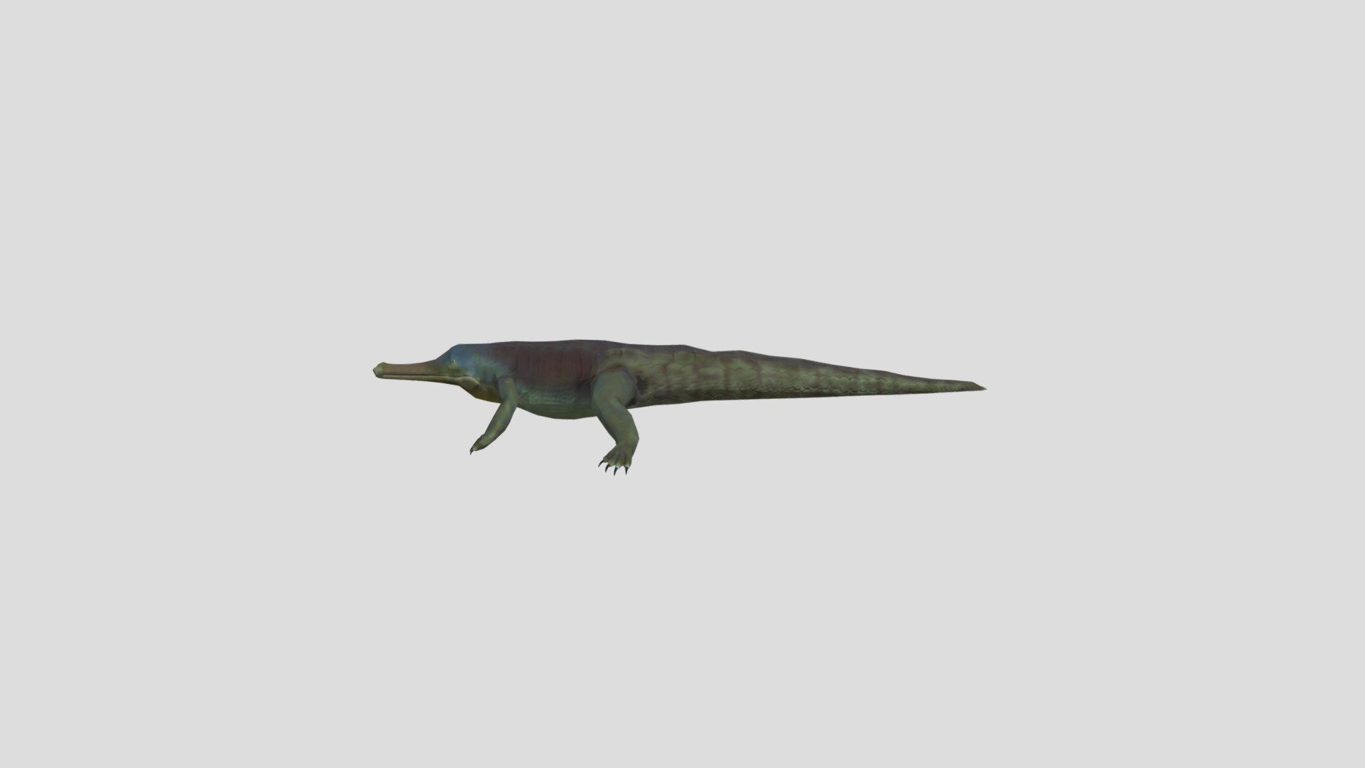 Machimosaurus Variation-3 - 3D model by creative.avl [7b507f3] - Sketchfab