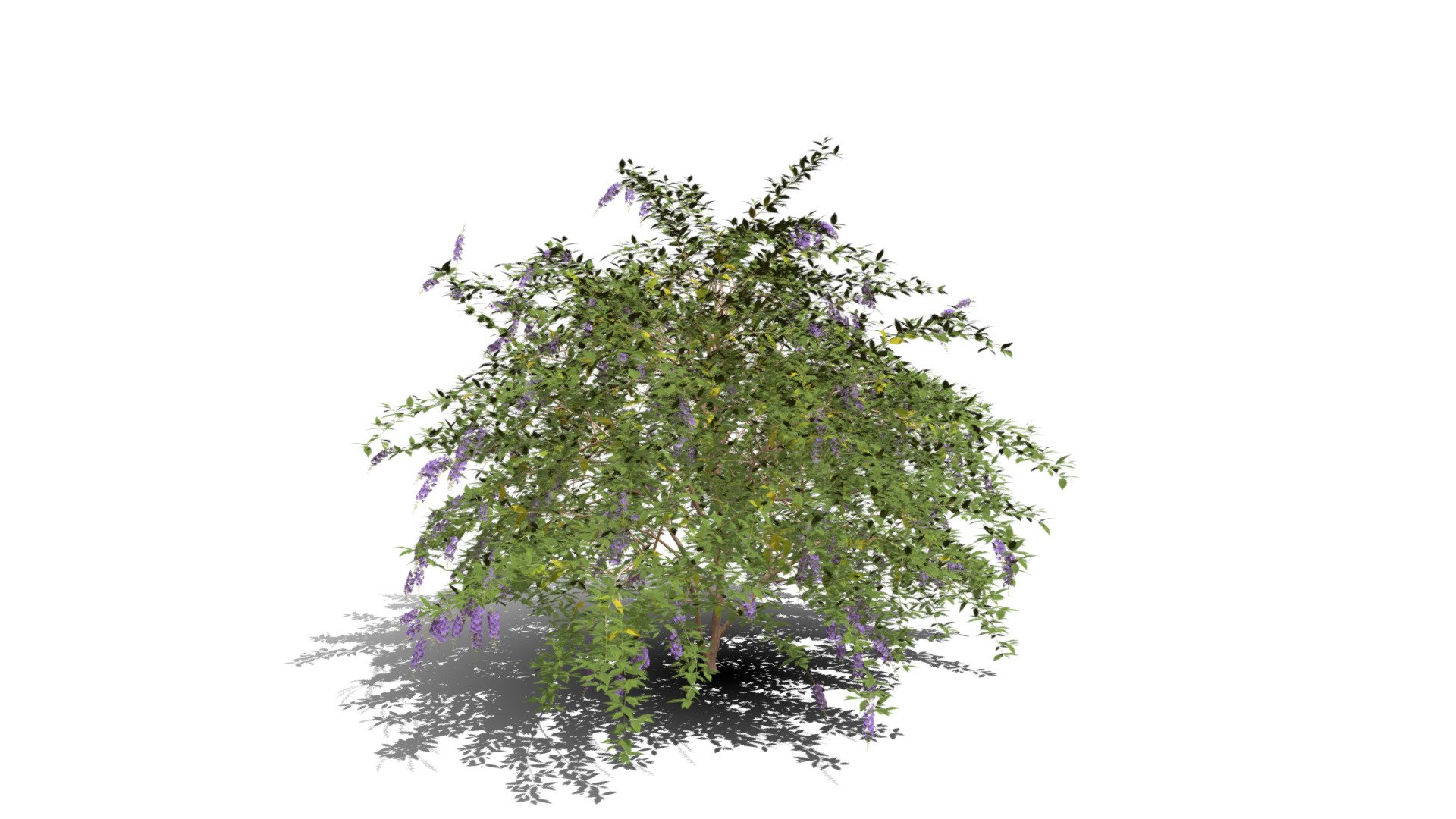 Realistic HD Golden dewberry (5/20) - Download Free 3D model by ...