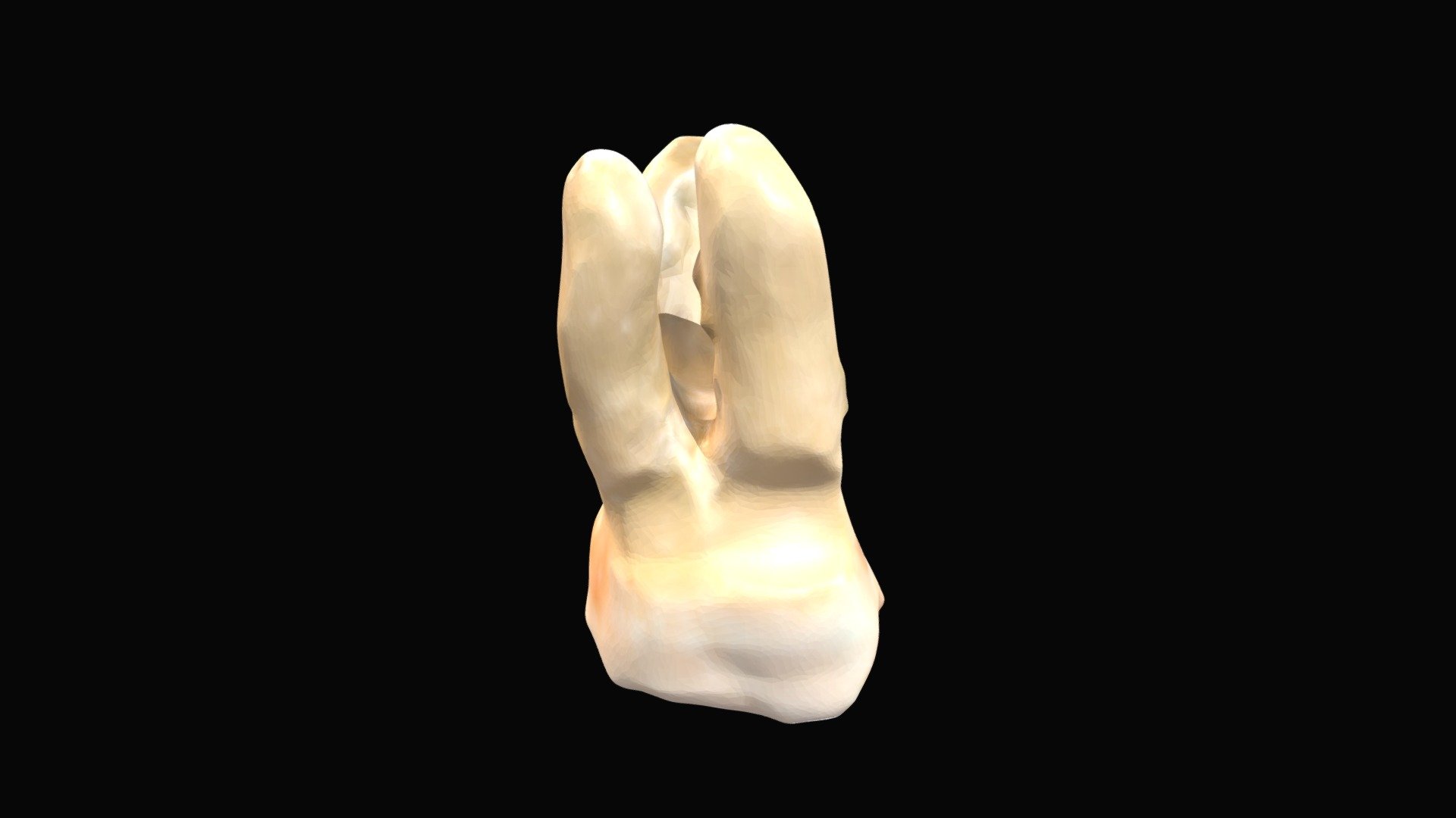 Primer molar maxilar derecho B (1.6) - 3D model by GIDPTD [7b64e60 ...