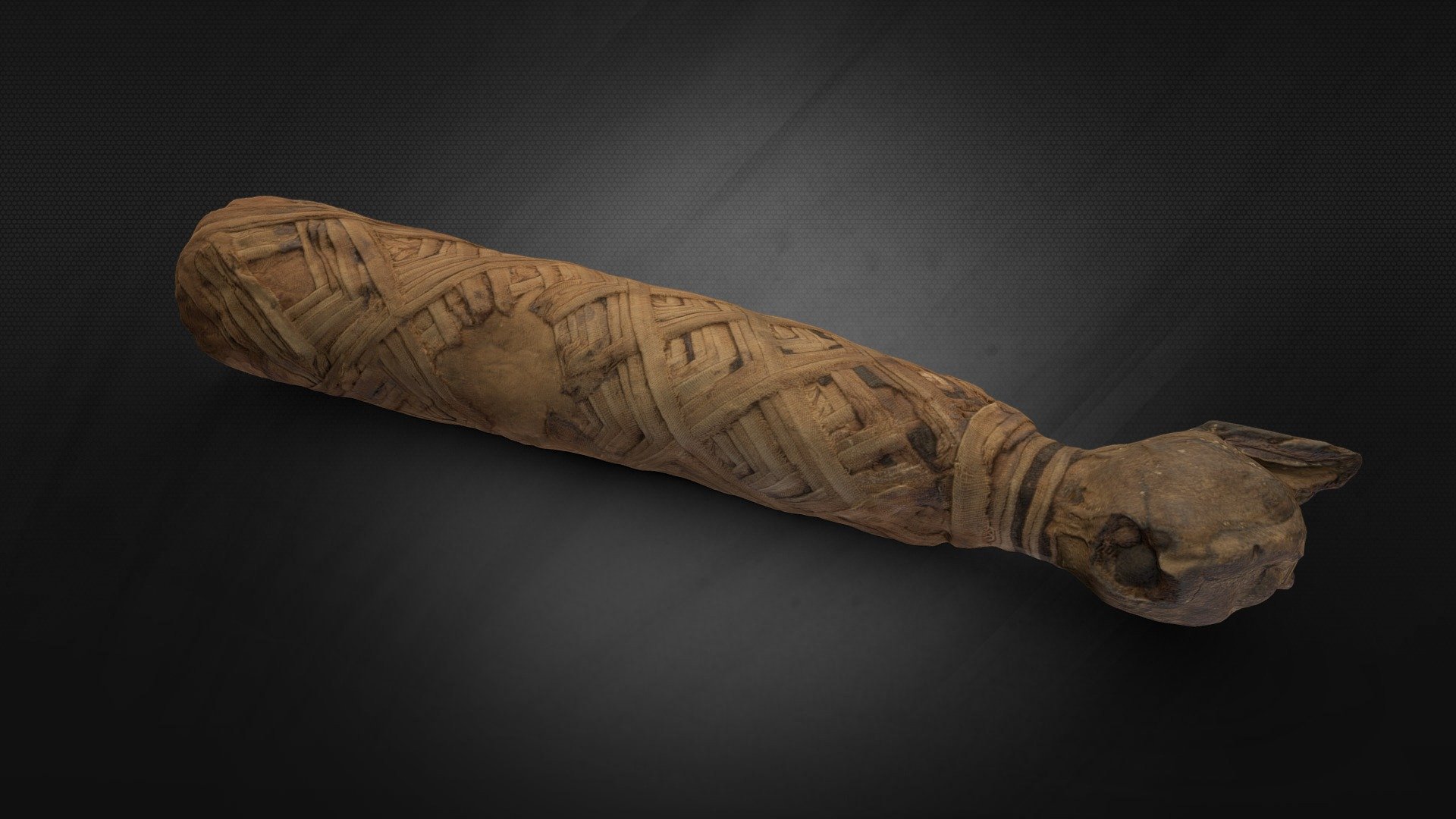 Macska múmia - 3D model by Museum of Fine Arts, Budapest (@mfab ...