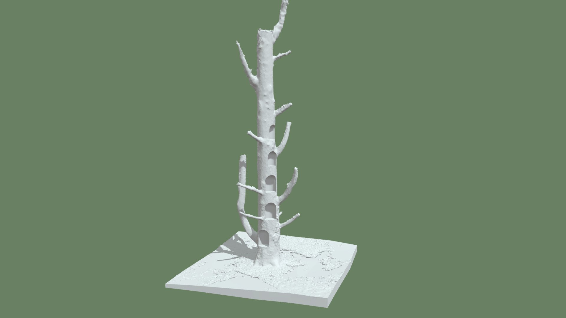 Cedro Bertiz - 3D model by irunaskultura [7b6d954] - Sketchfab