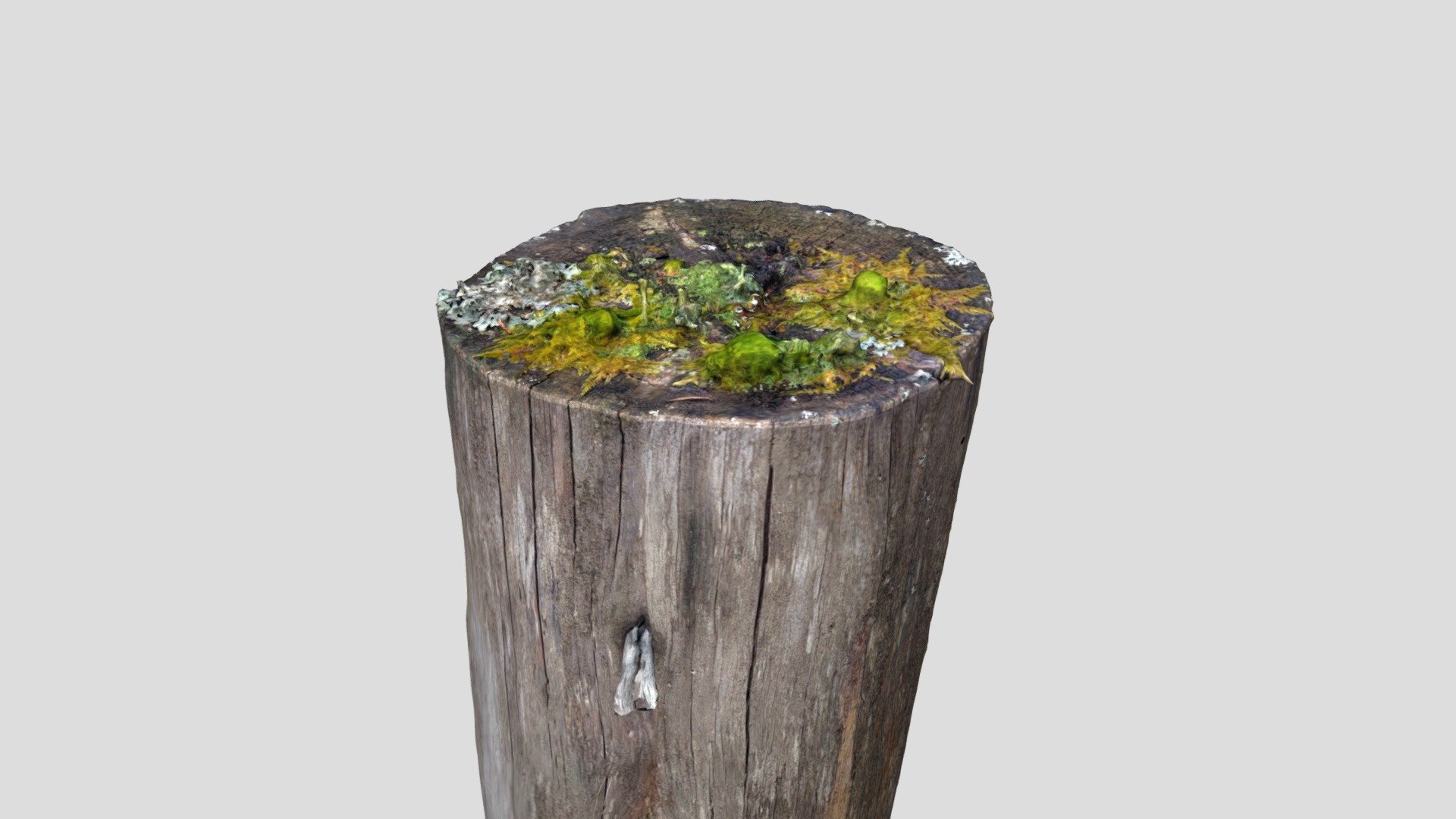 Cut log with moss - Download Free 3D model by Dima Taran (@HoloArt ...