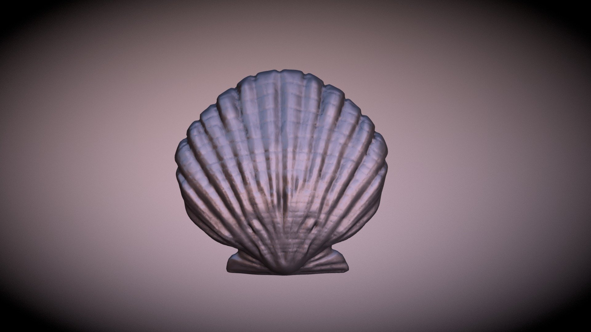 Sculpt January 25: Shell - 3D model by joelthebergman [7b703c2] - Sketchfab