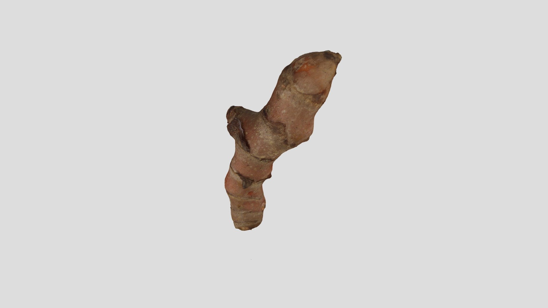 Turmeric - Download Free 3D model by anuch (@anuch1) [7b7195c] - Sketchfab