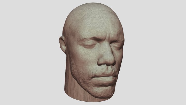 Headscan 3D models - Sketchfab