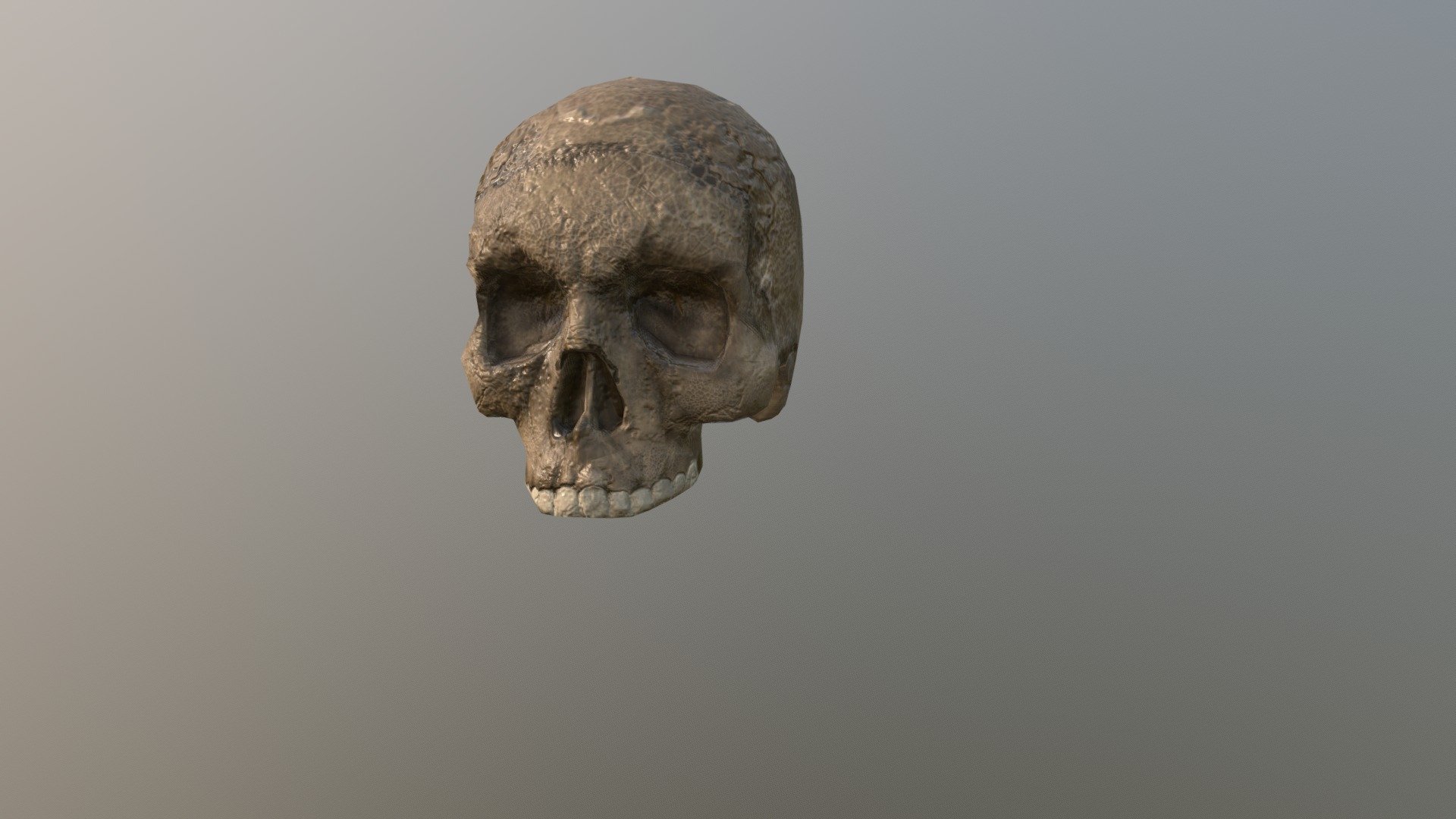 Skull lowpoly - 3D model by Bartłomiej Hukiewicz (@Bhukiewicz) [7b823d3 ...