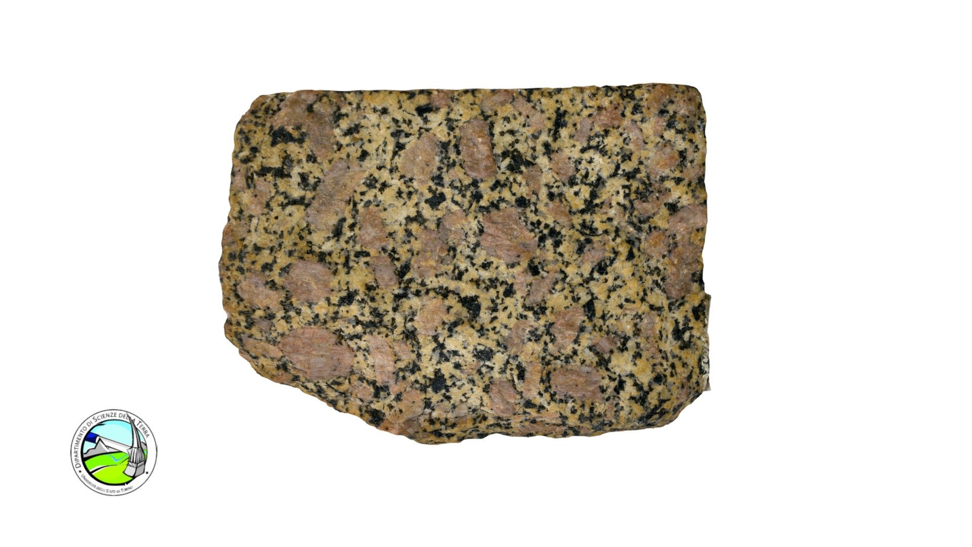 P23 - Monzodiorite anfibolica - 3D model by Dipartimento di Scienze ...