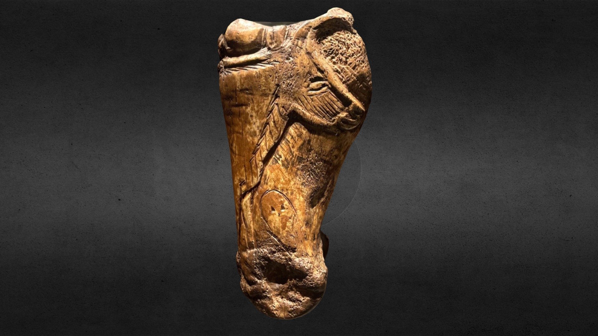 Decorated Aurochs Phalanx Bone - Download Free 3D model by Dave Green ...