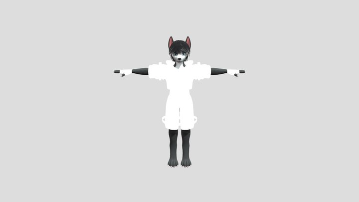 Bonelab 3D models - Sketchfab