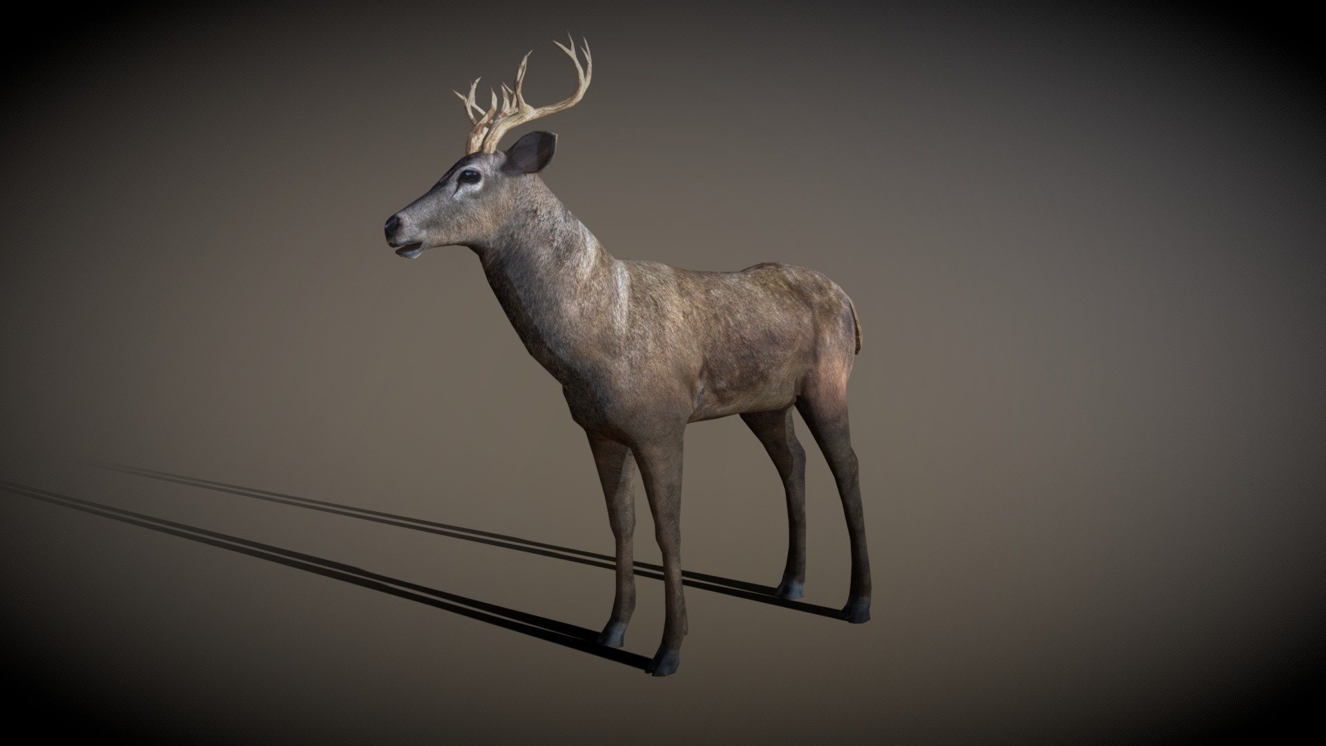 Wild animals - Deer - 3D model by 3DRT.com [7b94d07] - Sketchfab