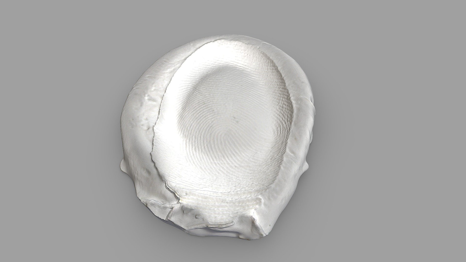 Fingerprint Impression 3D Scan - 3D model by Laser Design (@Laserdesign ...