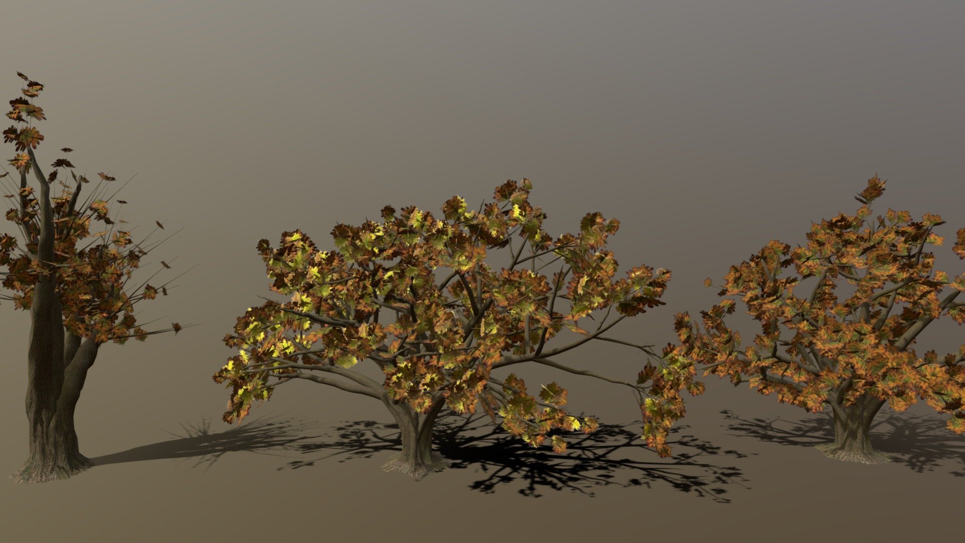 Oak Tree Variants - Download Free 3D model by RBG_illustrations ...