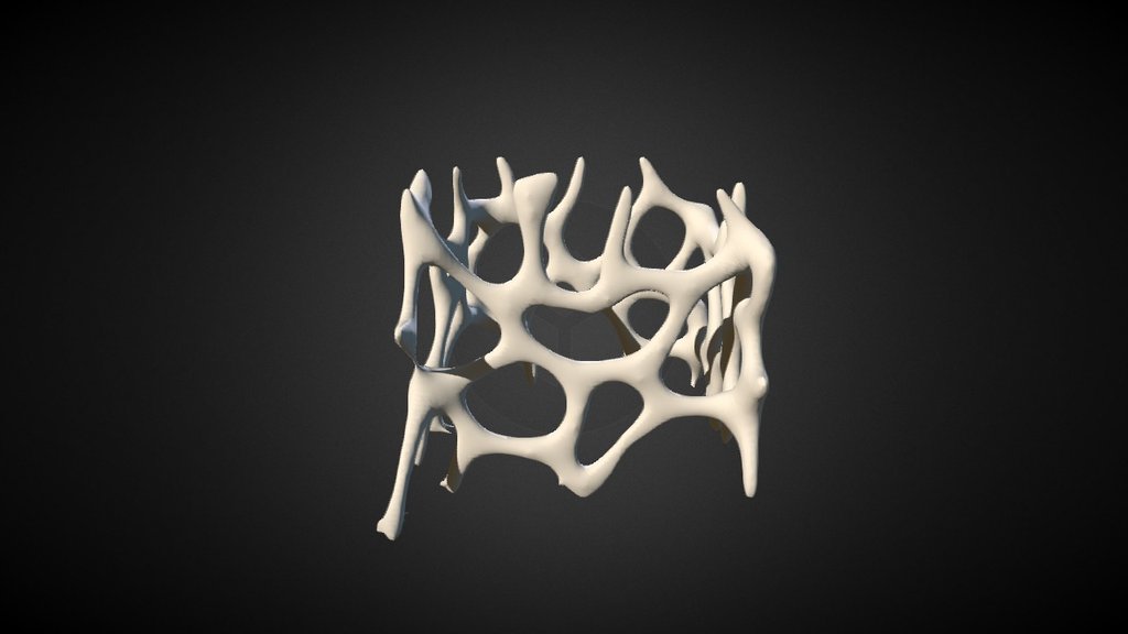 The Net - 3D model by kaiserb [7ba0e84] - Sketchfab