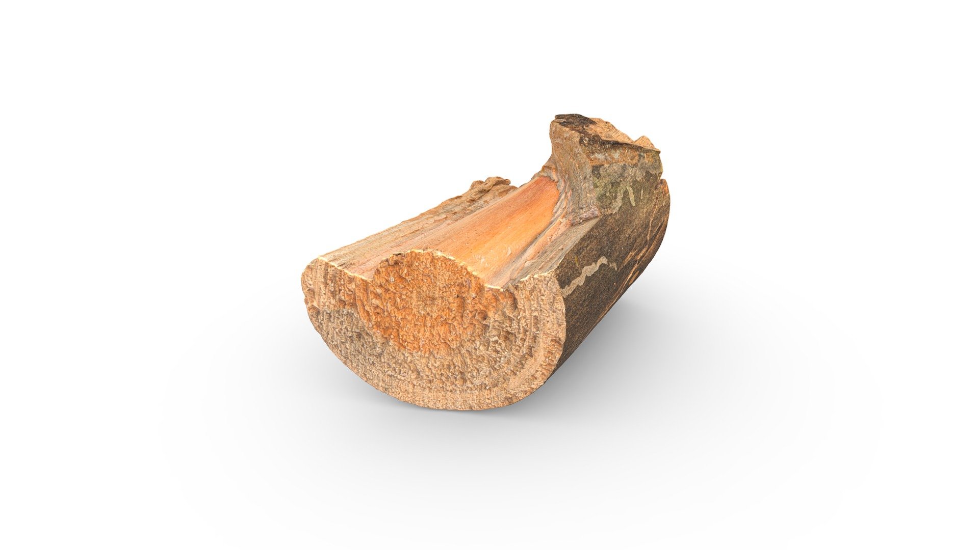 Forest Stick - 3D model by RawCatalog.com (@rawcatalog) [7baad05 ...