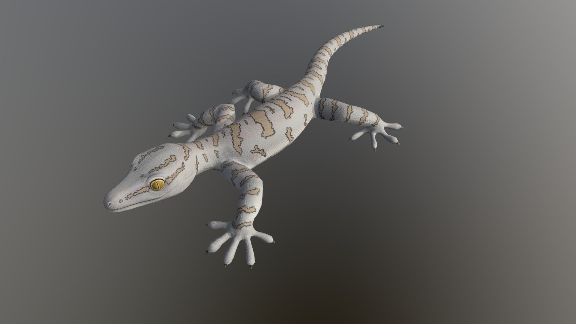 3D Gecko - Buy Royalty Free 3D model by TelergyStudio (@lucaoshrs ...